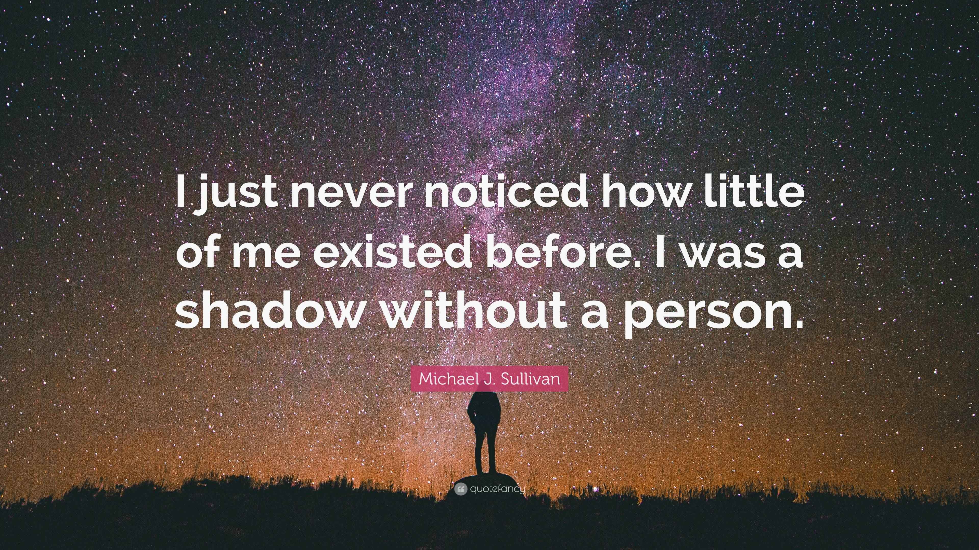 Michael J. Sullivan Quote: “I just never noticed how little of me ...