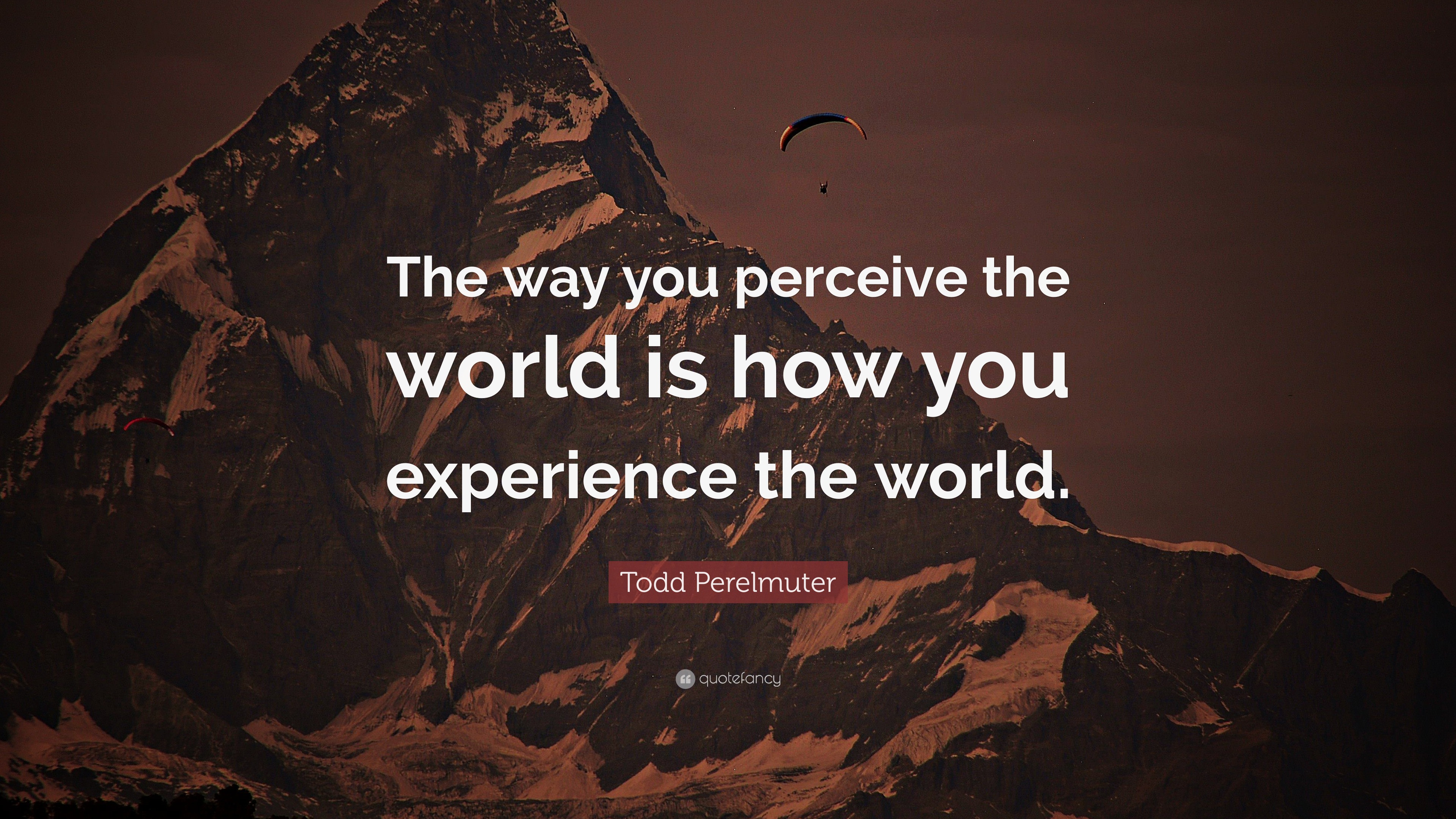 Todd Perelmuter Quote: “The way you perceive the world is how you ...