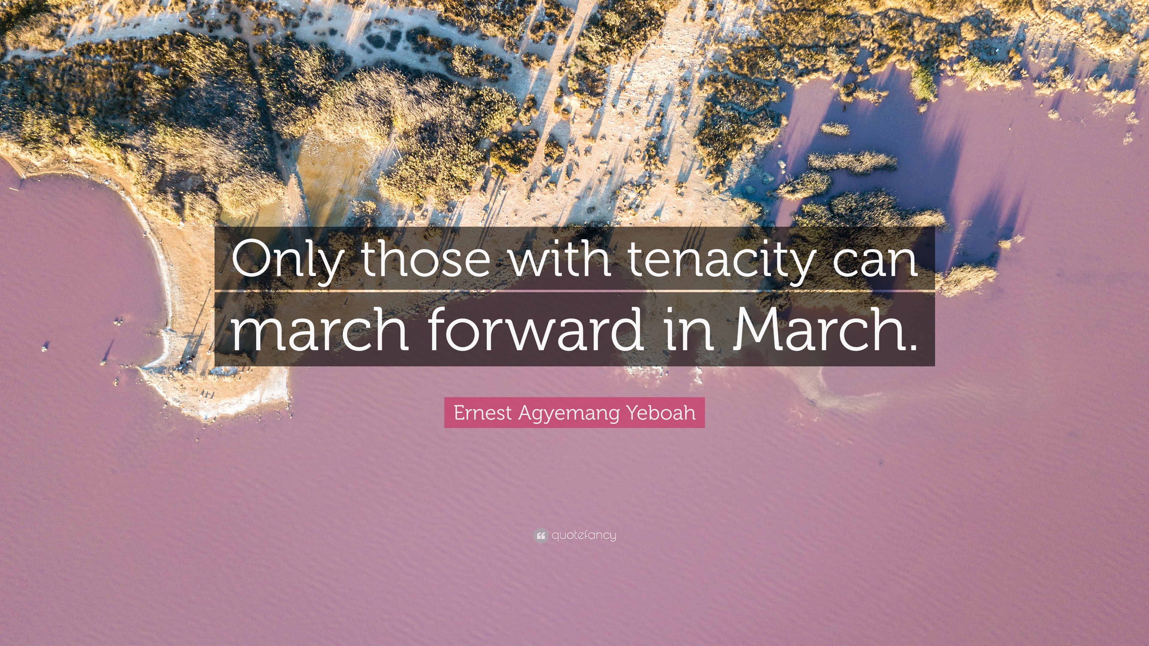 Ernest Agyemang Yeboah Quote: “Only those with tenacity can march ...