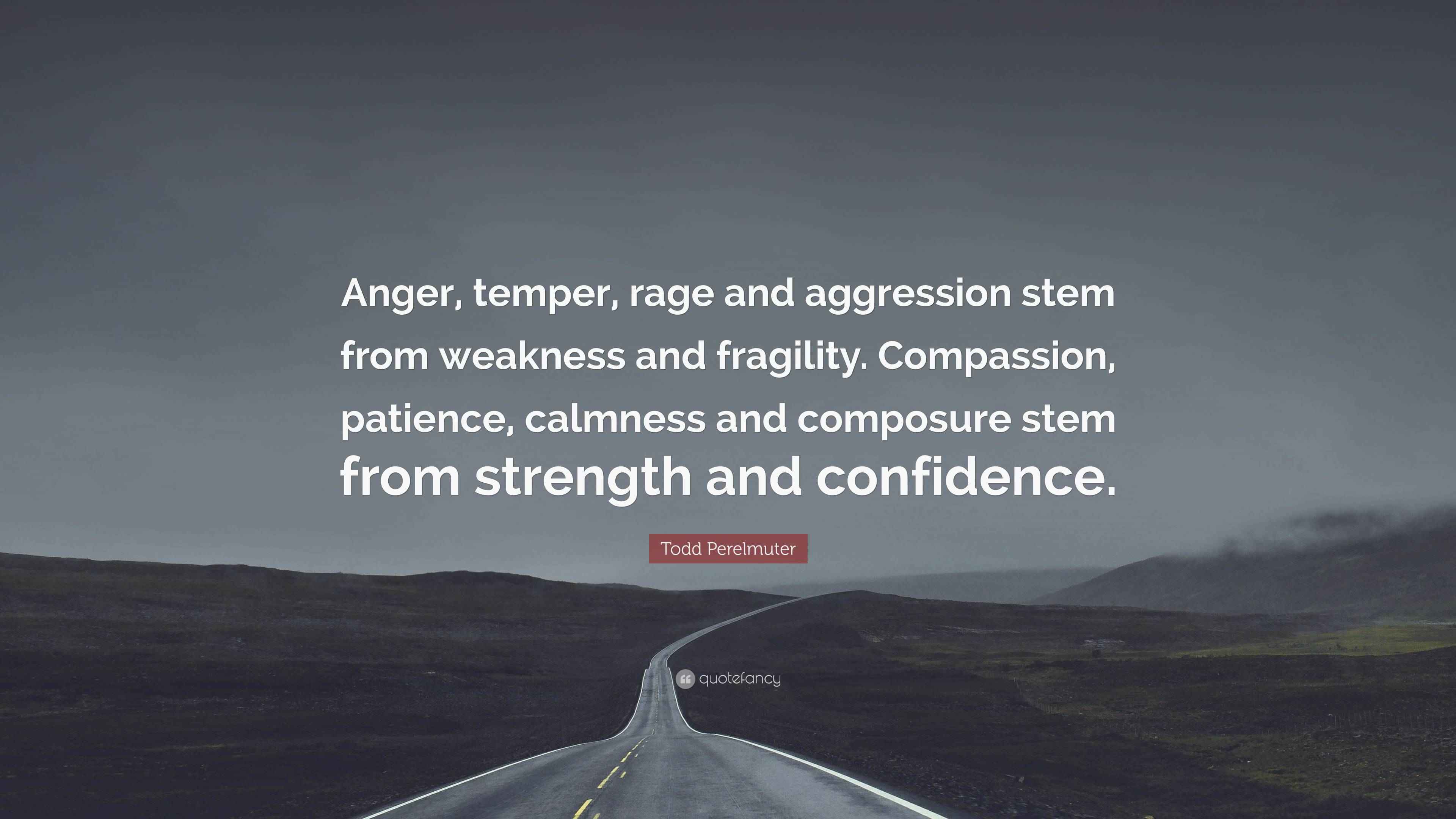 Todd Perelmuter Quote: “Anger, temper, rage and aggression stem from ...
