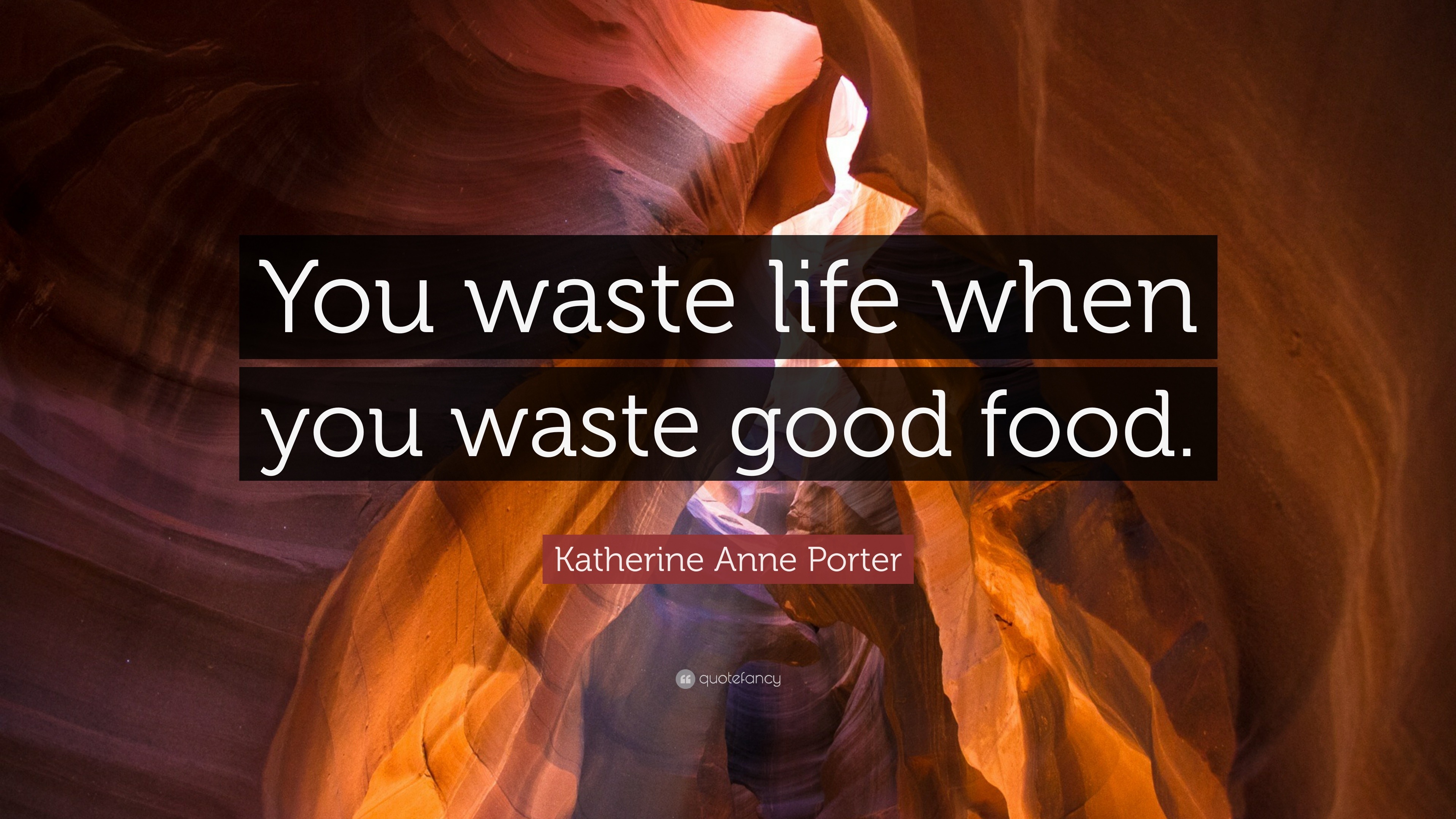Katherine Anne Porter Quote: “You waste life when you waste good food.”