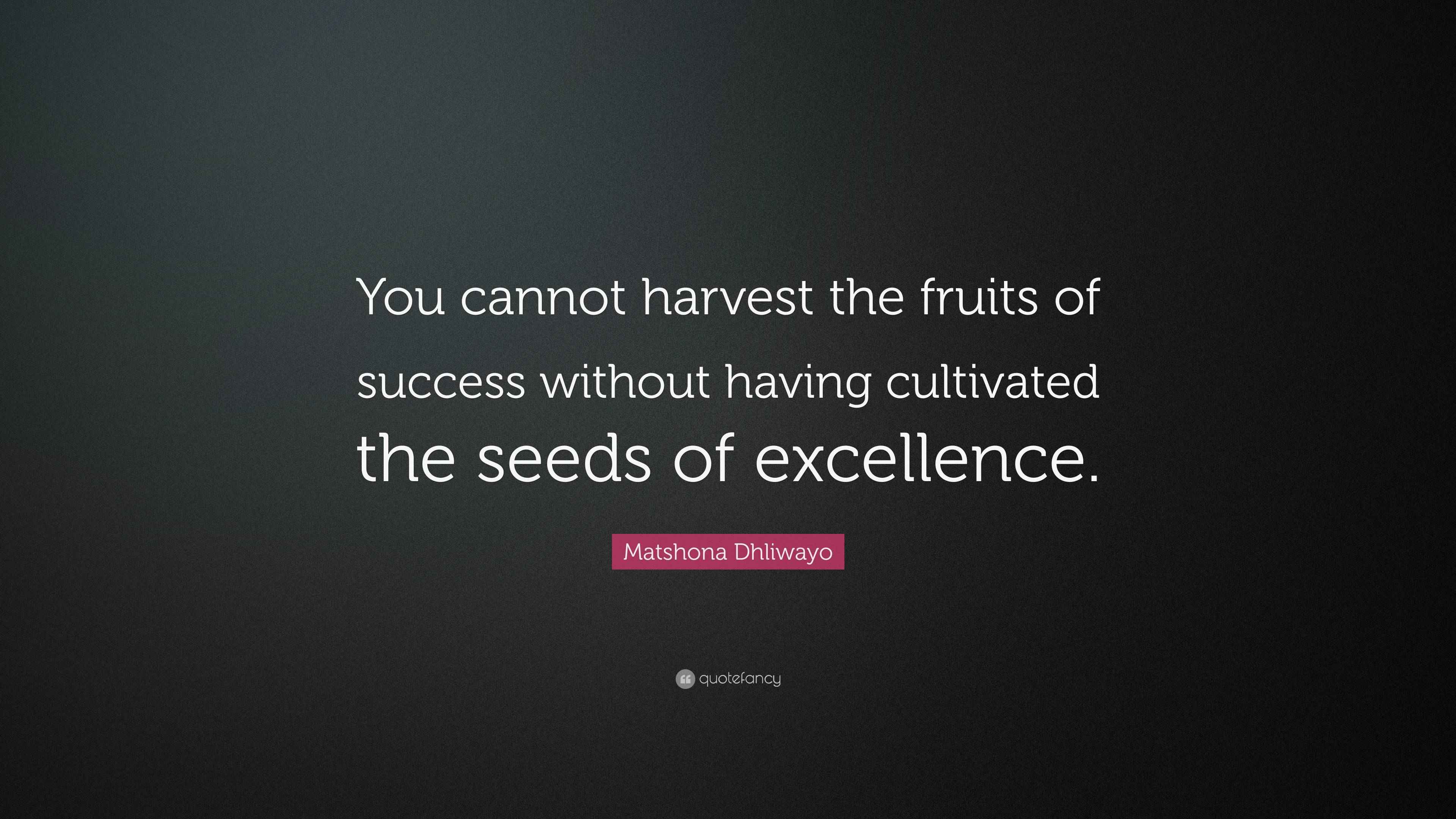 Matshona Dhliwayo Quote: “You cannot harvest the fruits of success ...