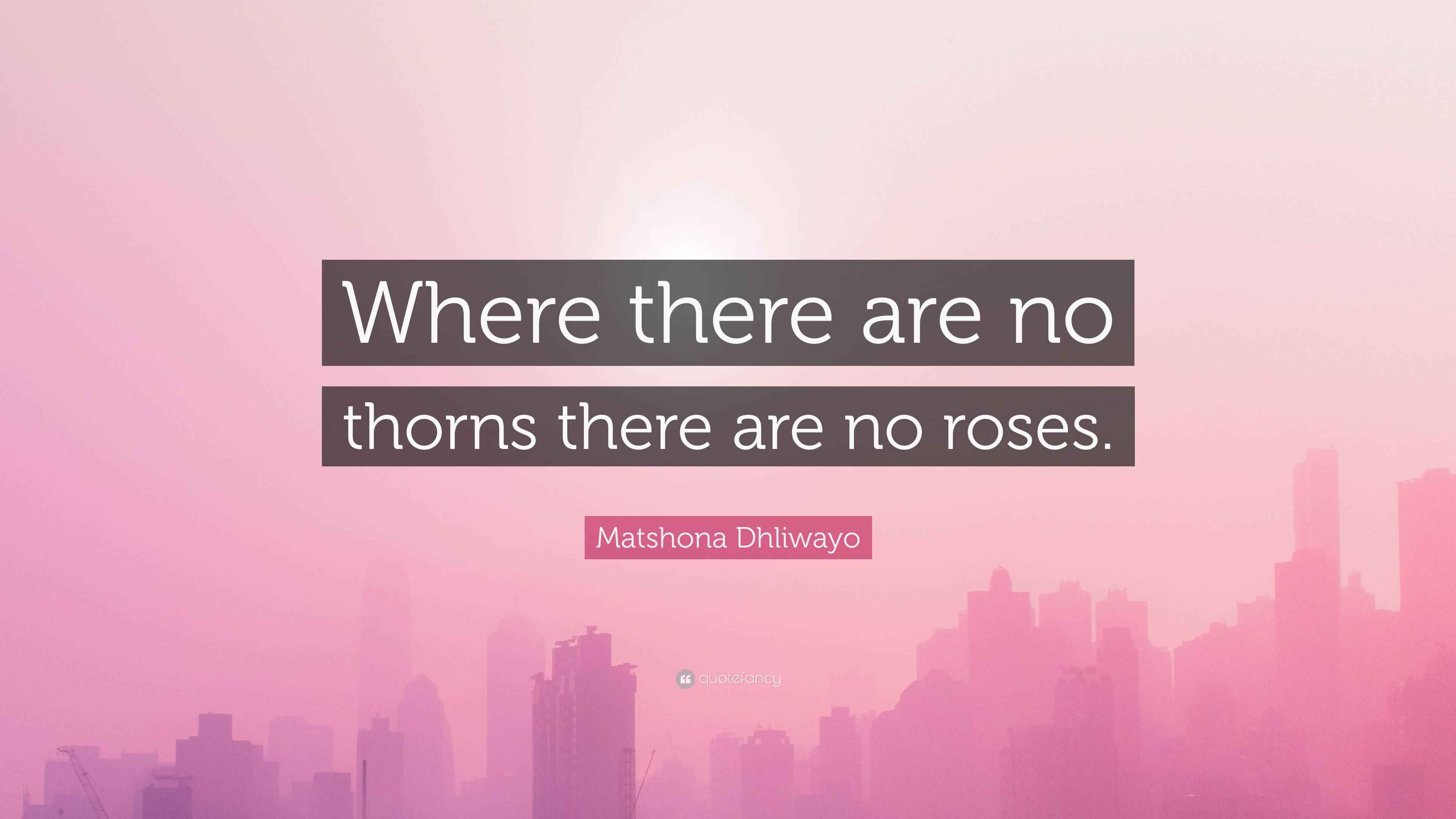 Matshona Dhliwayo Quote: “Where there are no thorns there are no roses.”