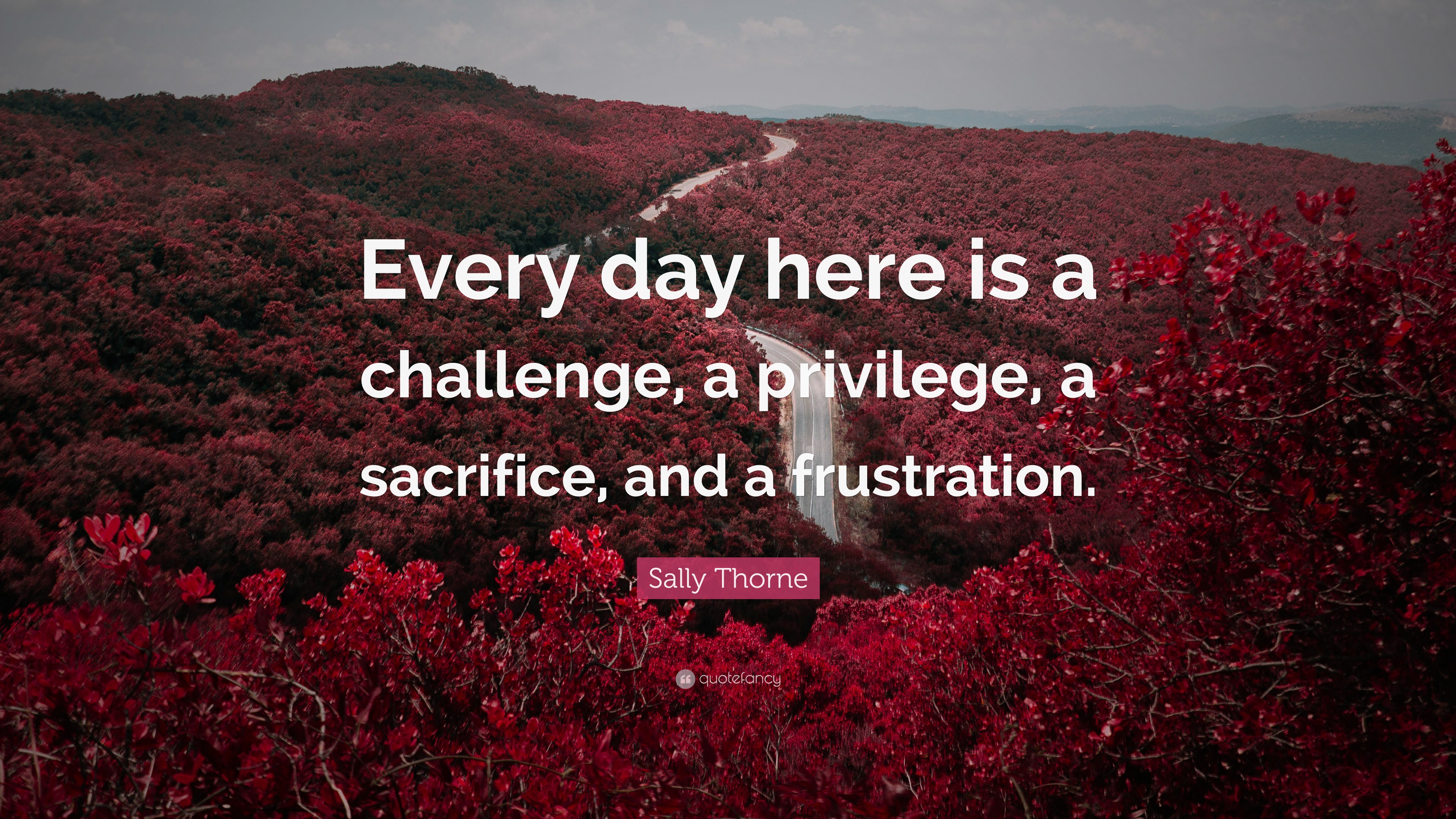 Sally Thorne Quote: “Every day here is a challenge, a privilege, a ...