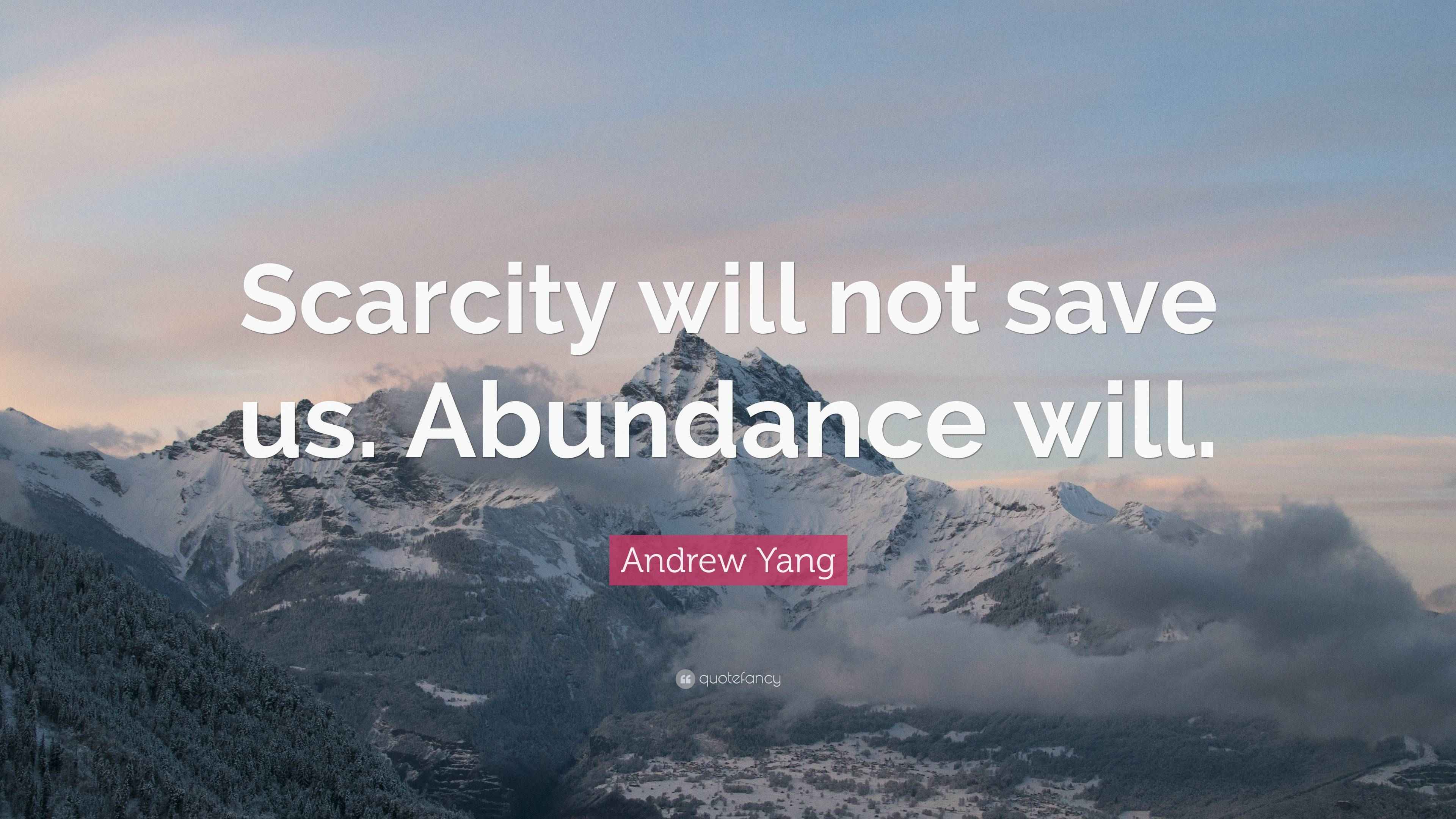Andrew Yang Quote: “Scarcity will not save us. Abundance will.”