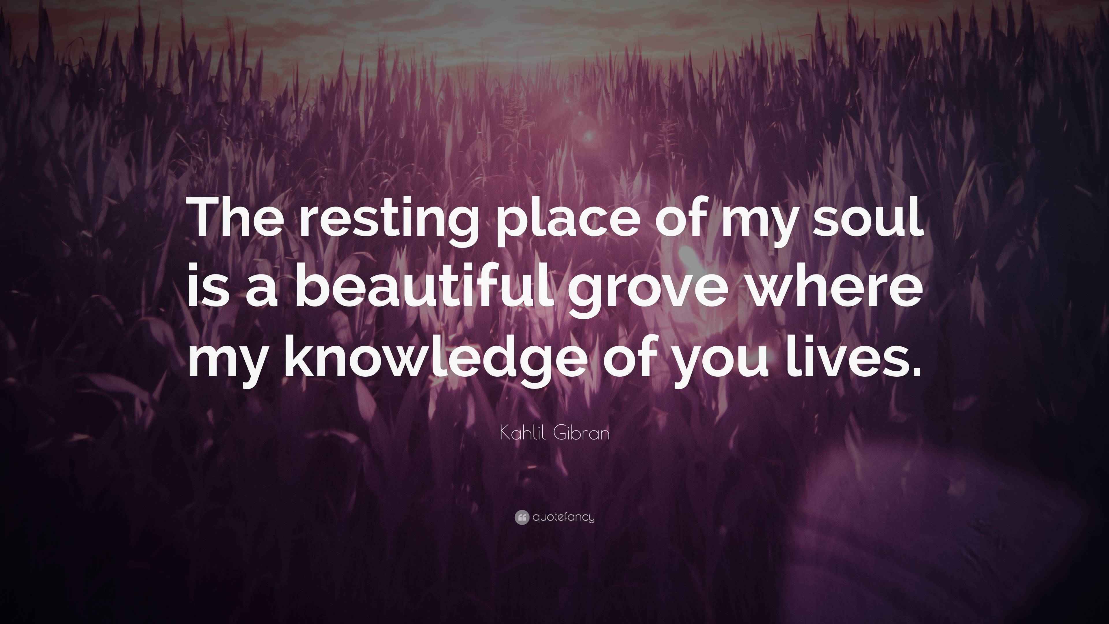 Kahlil Gibran Quote: “The resting place of my soul is a beautiful grove ...