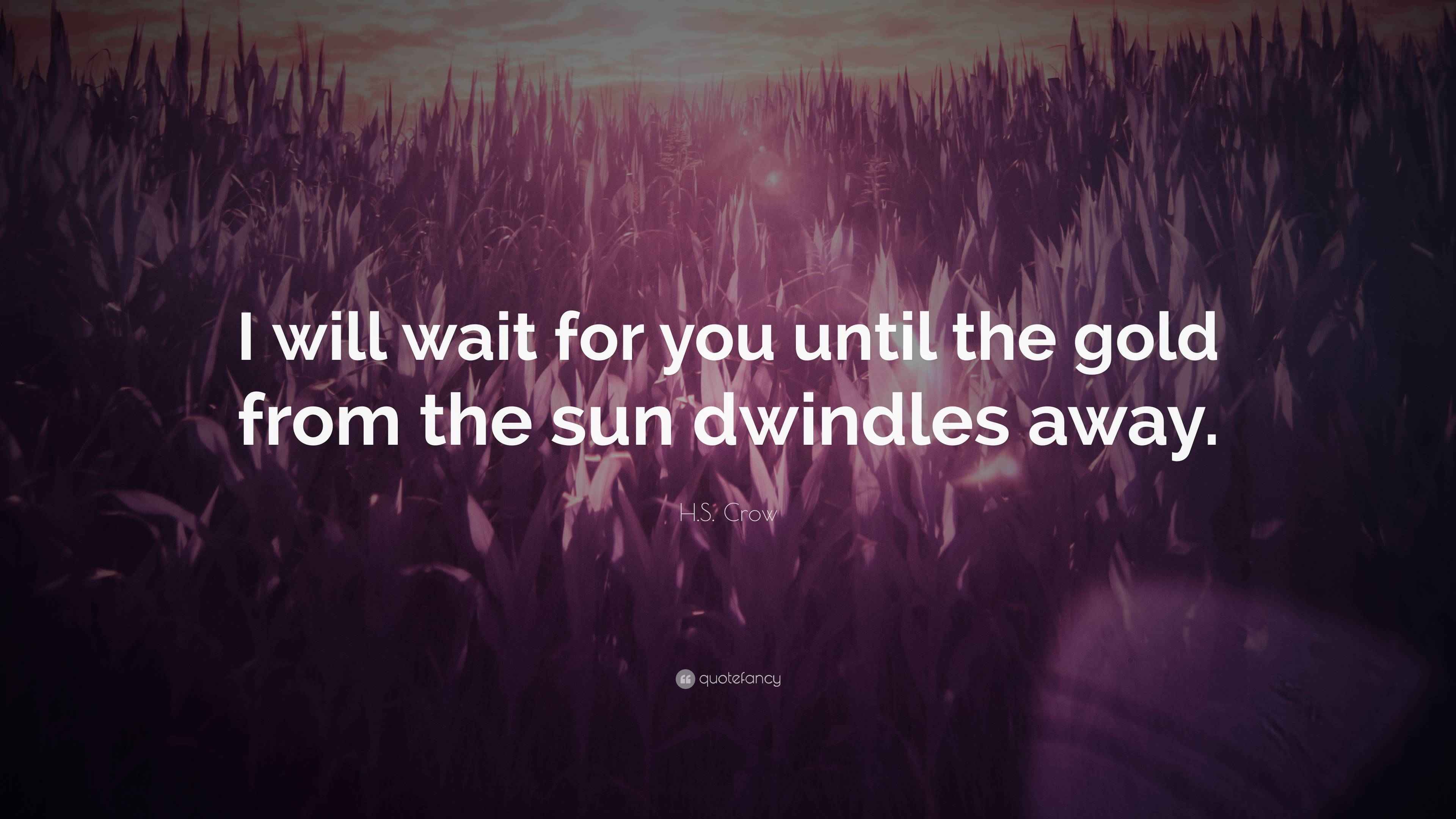 H.S. Crow Quote: “I will wait for you until the gold from the sun ...