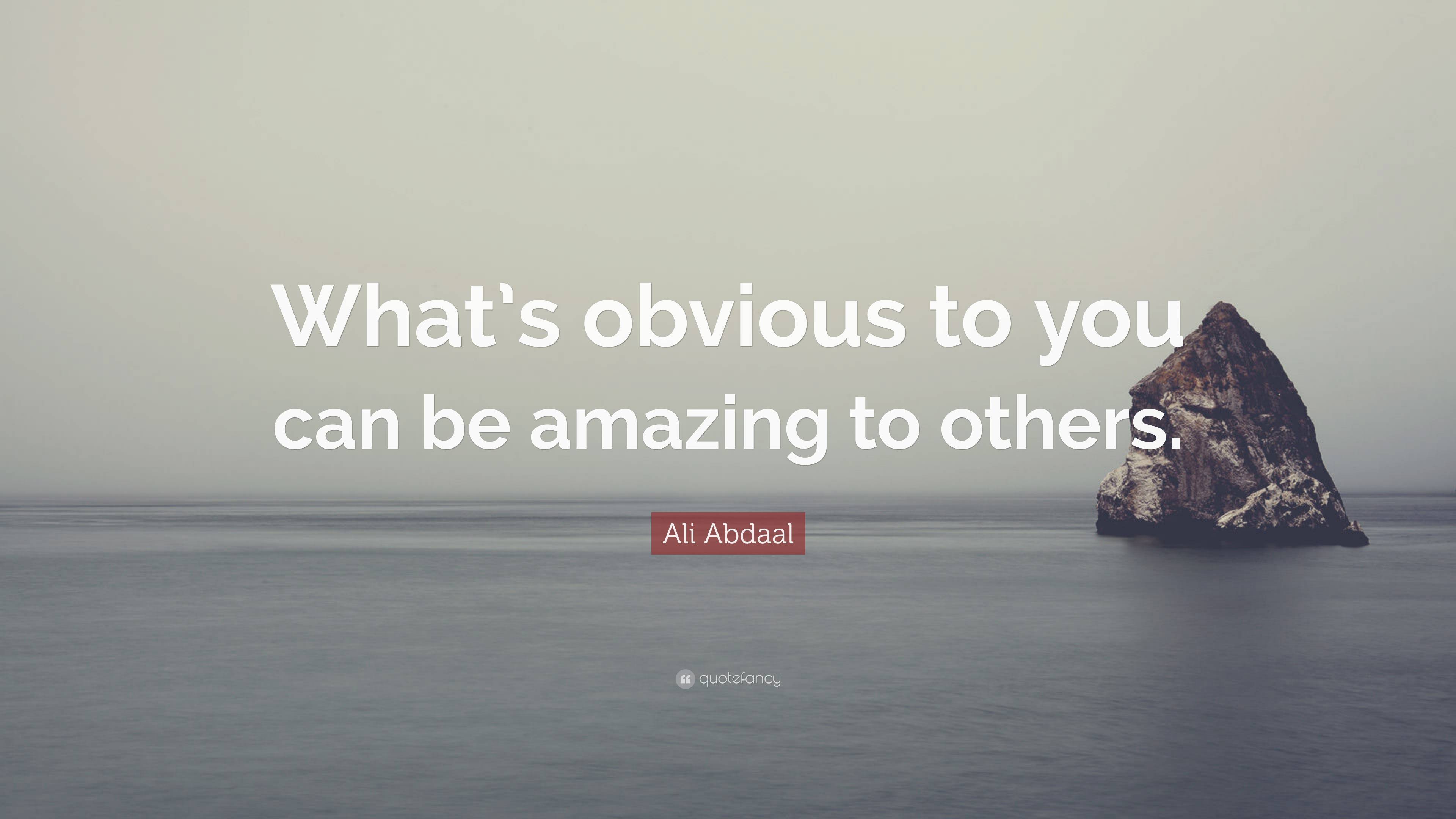 Ali Abdaal Quote: “What’s obvious to you can be amazing to others.”