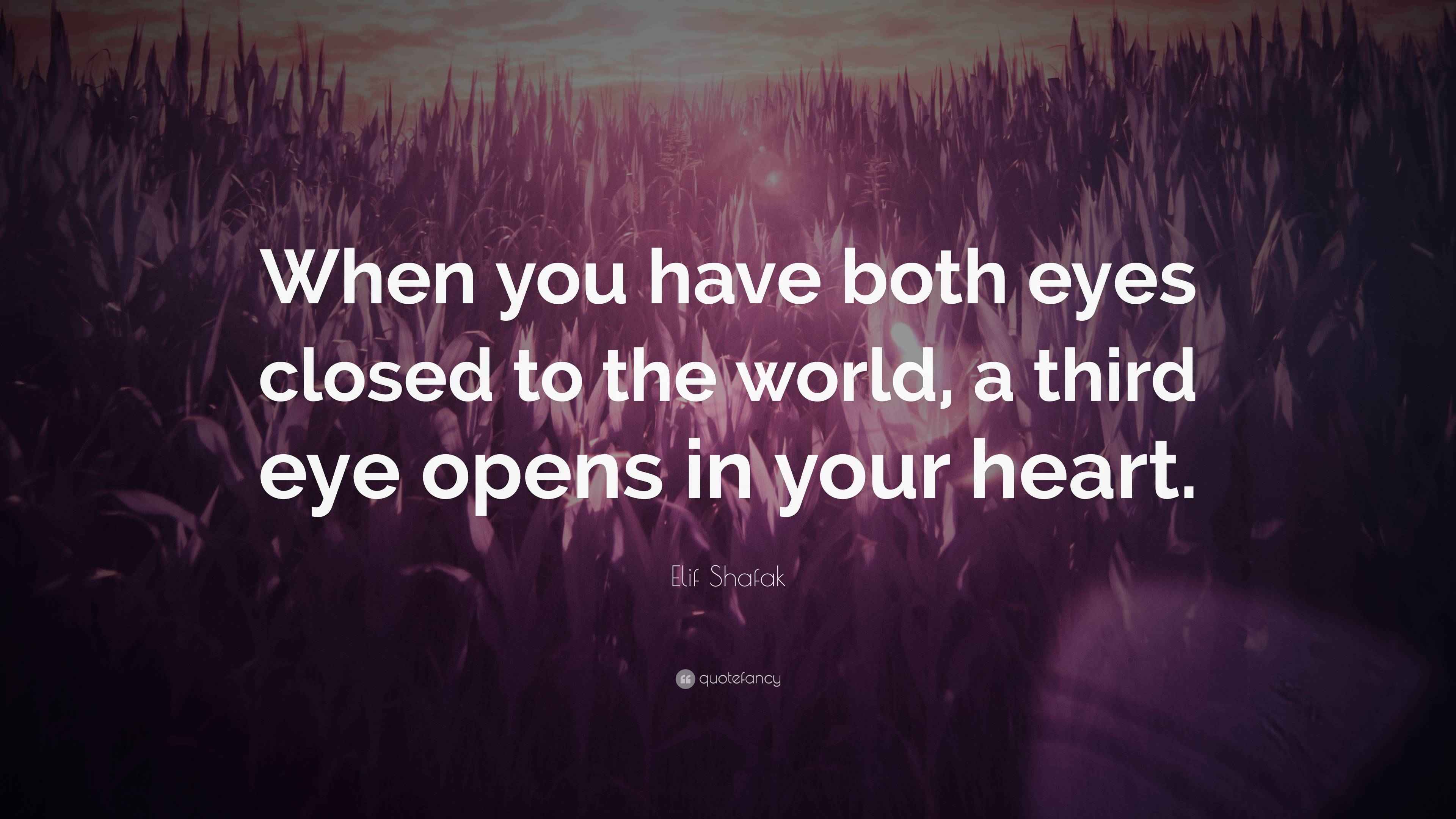 Elif Shafak Quote: “When you have both eyes closed to the world, a ...