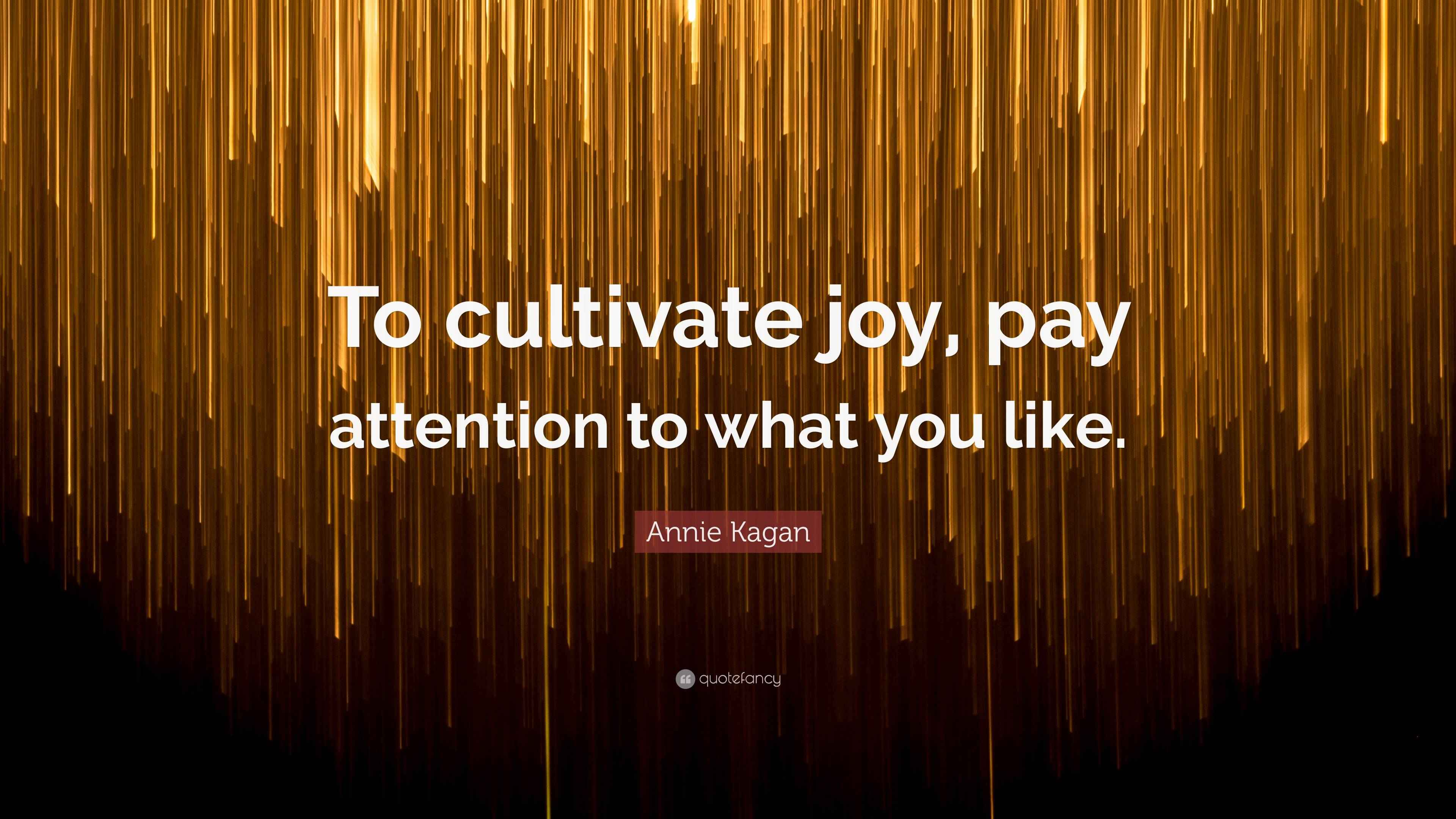Annie Kagan Quote: “To cultivate joy, pay attention to what you like.”