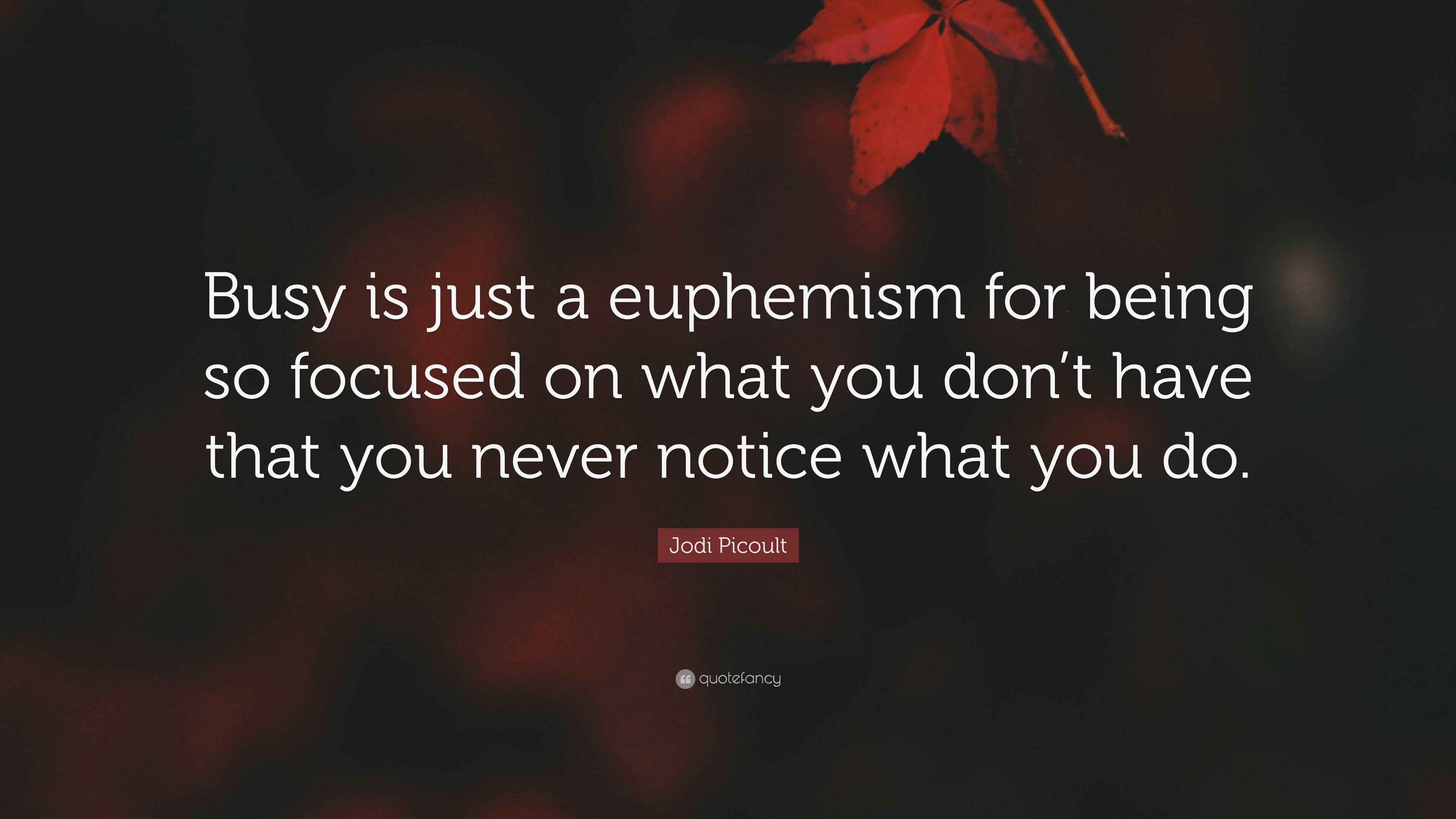 Jodi Picoult Quote: “Busy is just a euphemism for being so focused on ...