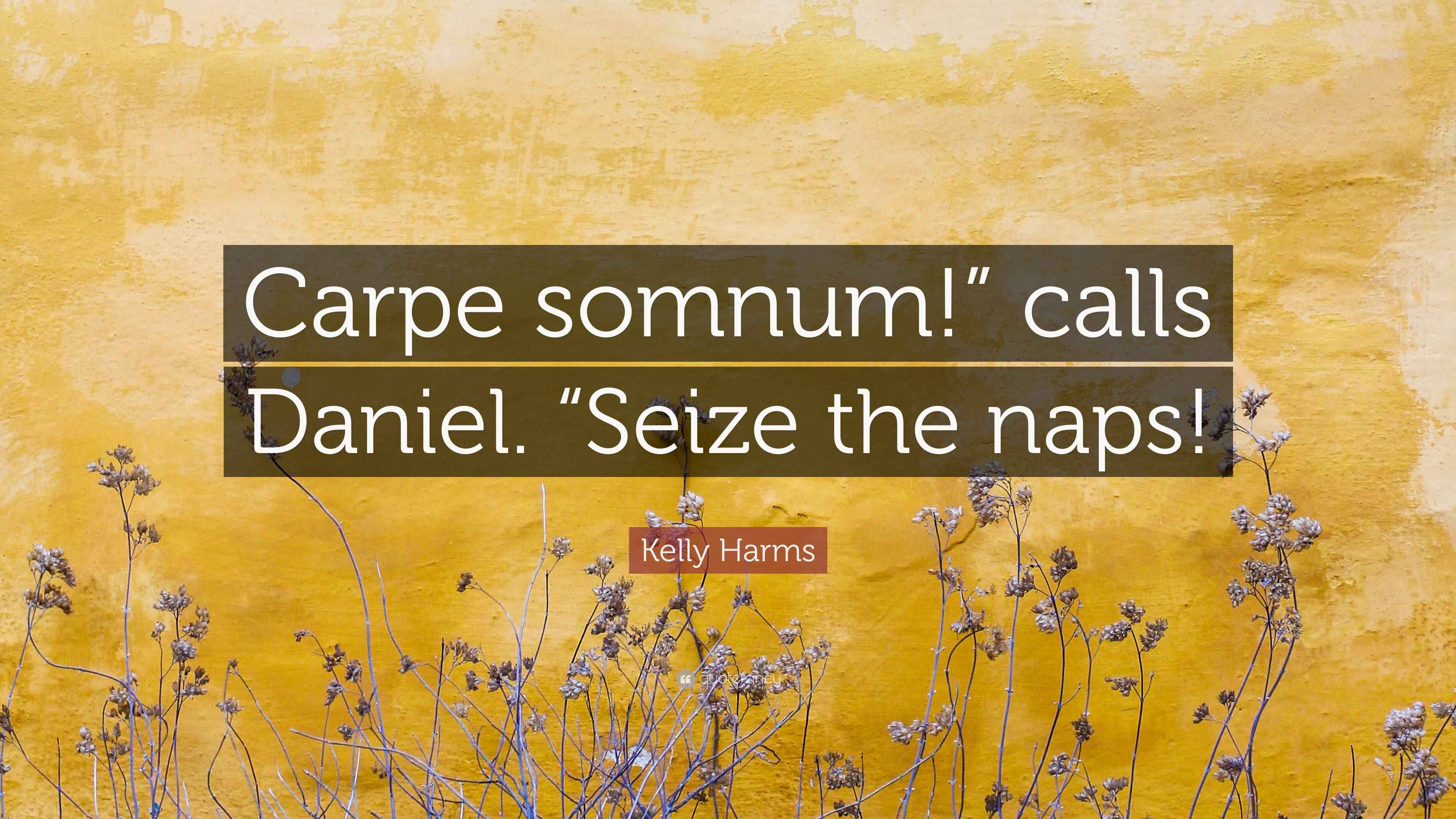 Kelly Harms Quote: “Carpe somnum!” calls Daniel. “Seize the naps!”