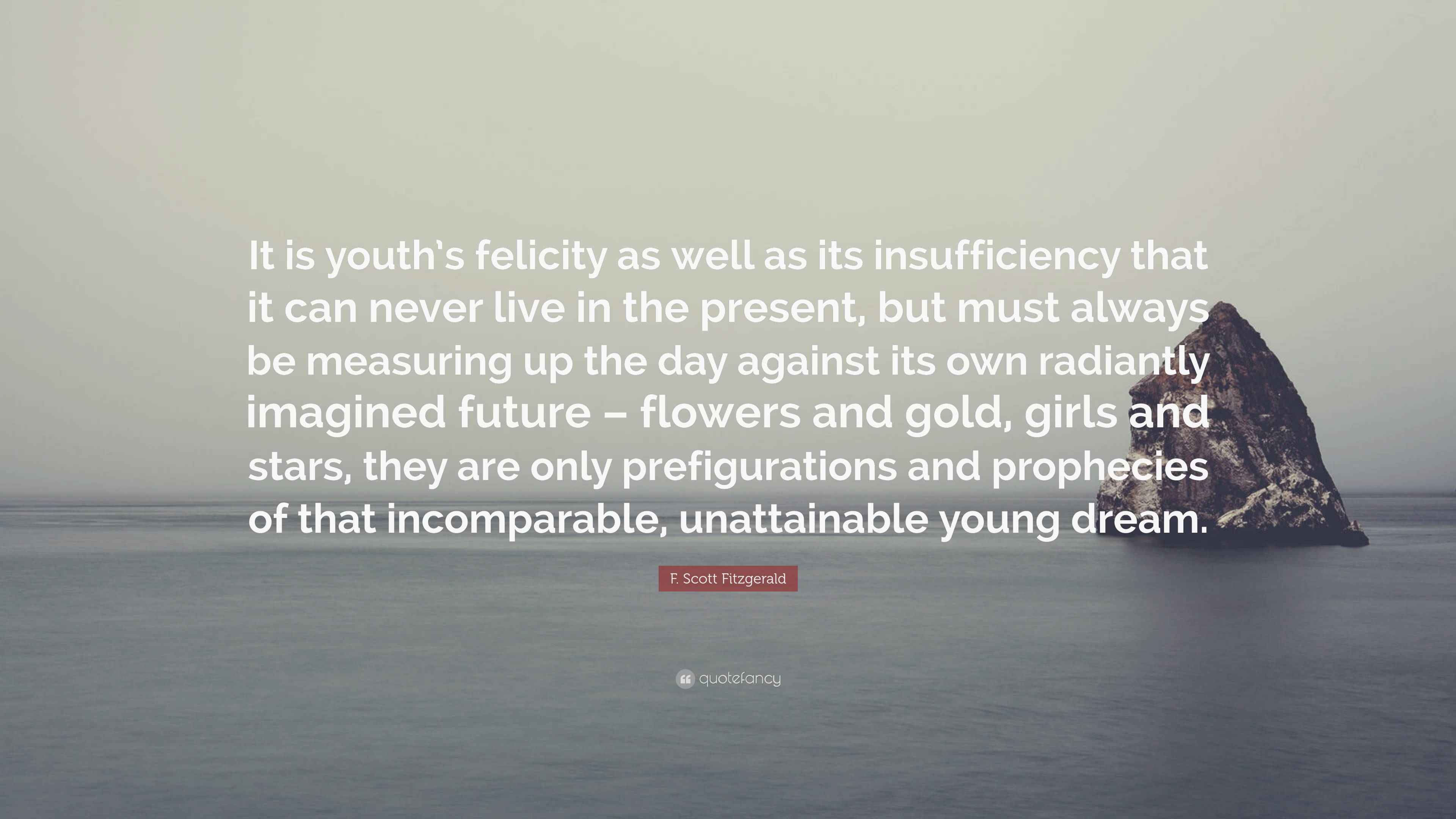 F. Scott Fitzgerald Quote: “It is youth’s felicity as well as its ...
