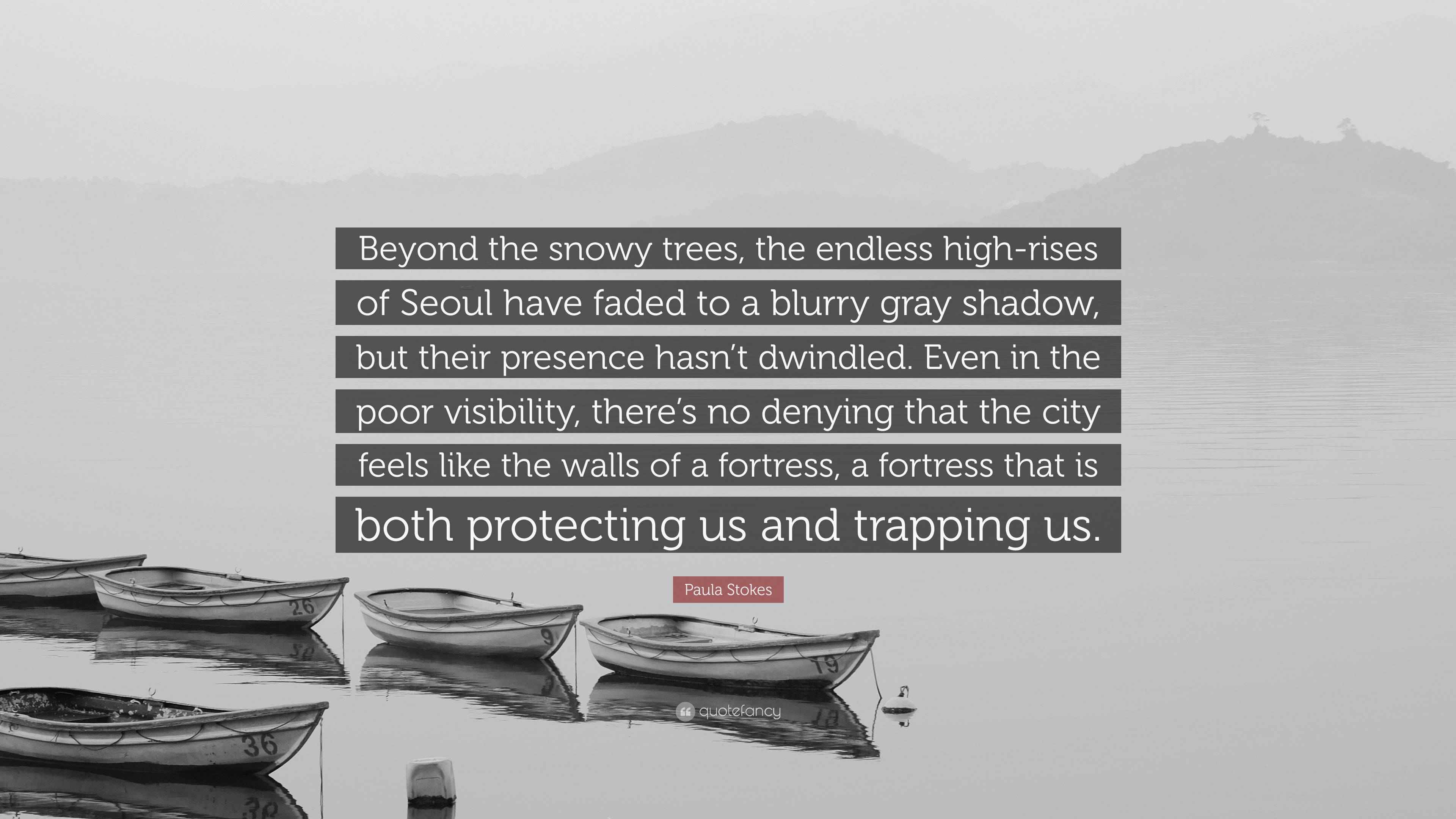 Paula Stokes Quote: “Beyond the snowy trees, the endless high-rises of ...