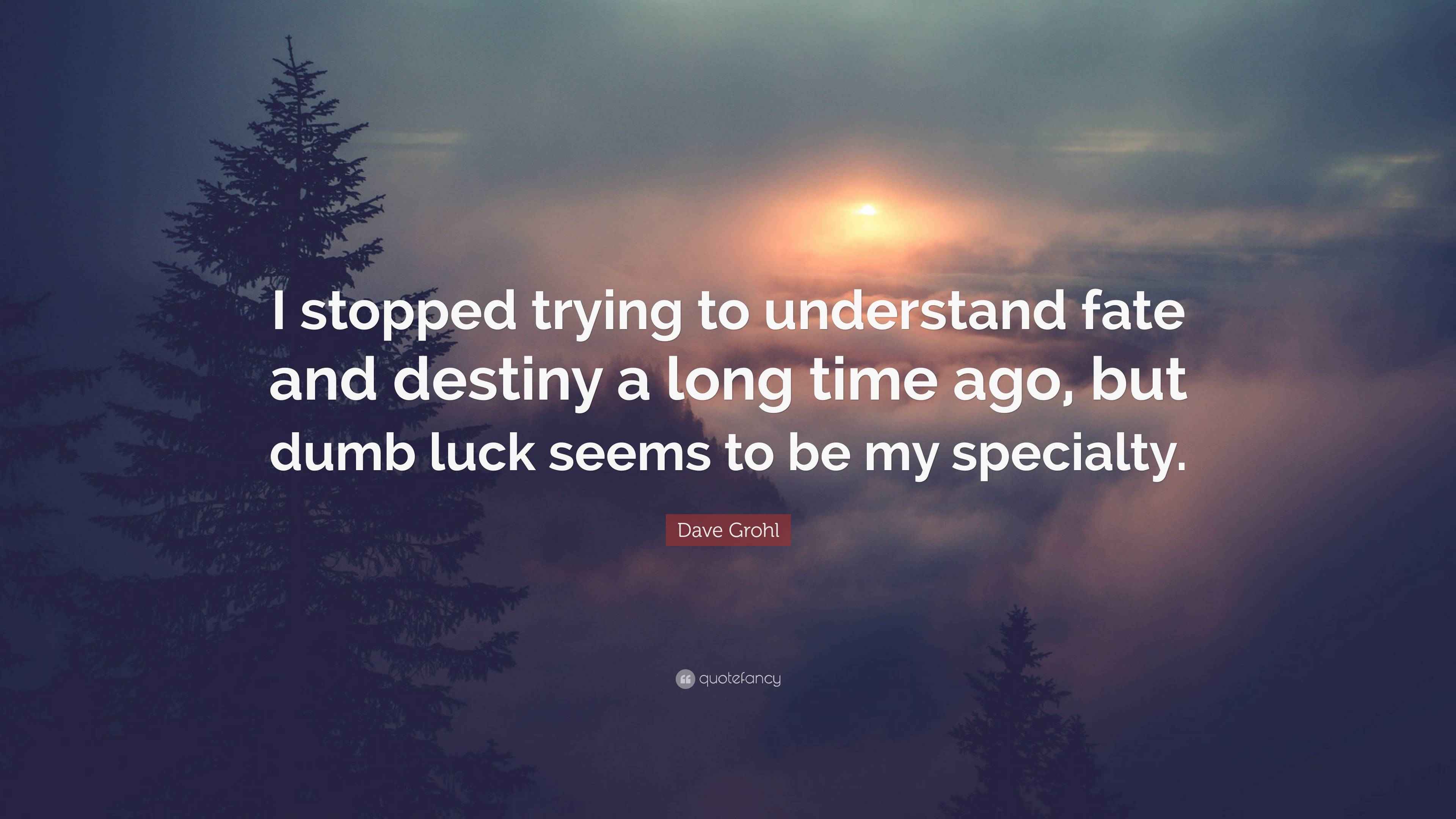 Dave Grohl Quote: “I stopped trying to understand fate and destiny a ...
