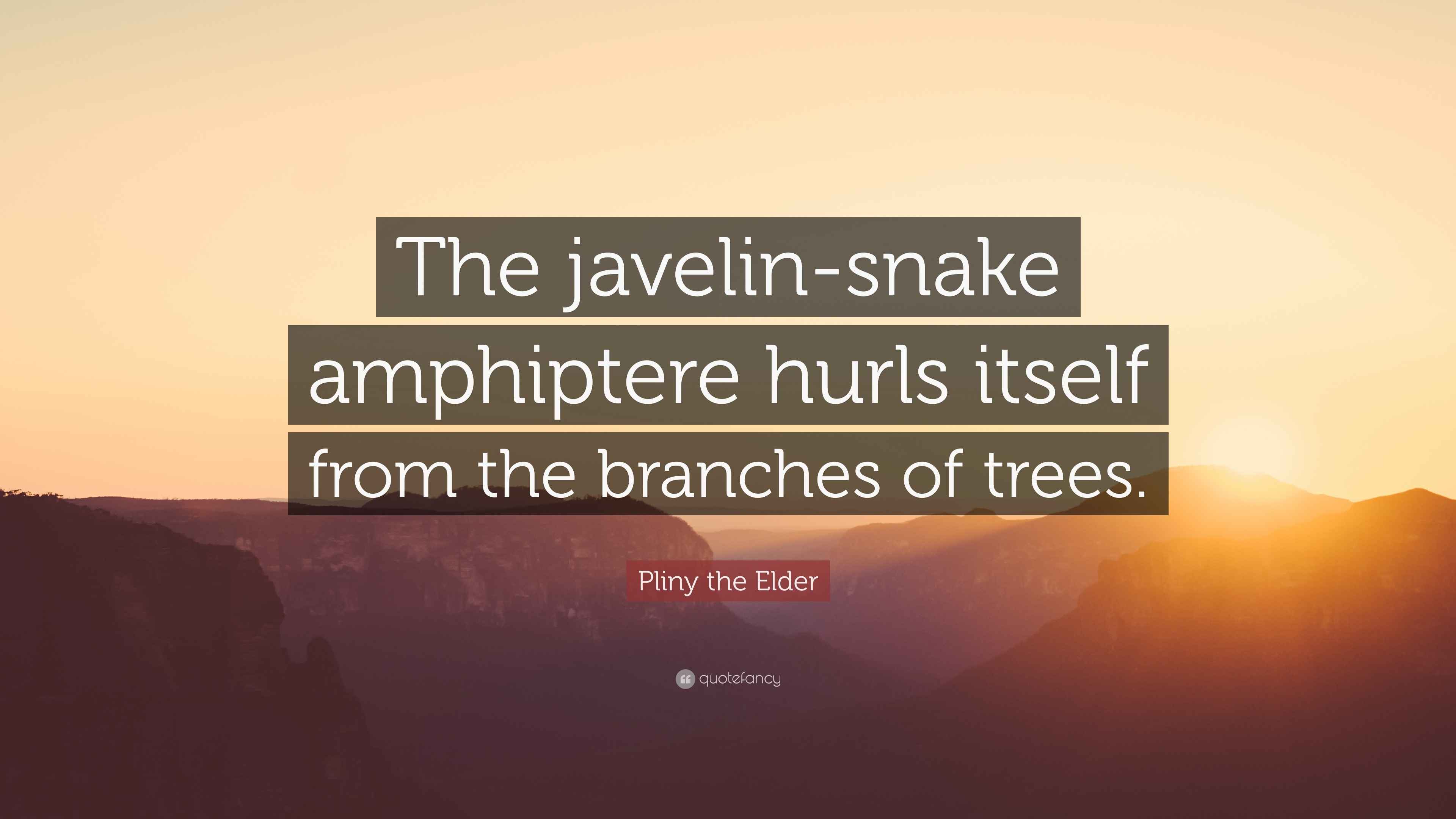 Pliny the Elder Quote: “The javelin-snake amphiptere hurls itself from ...