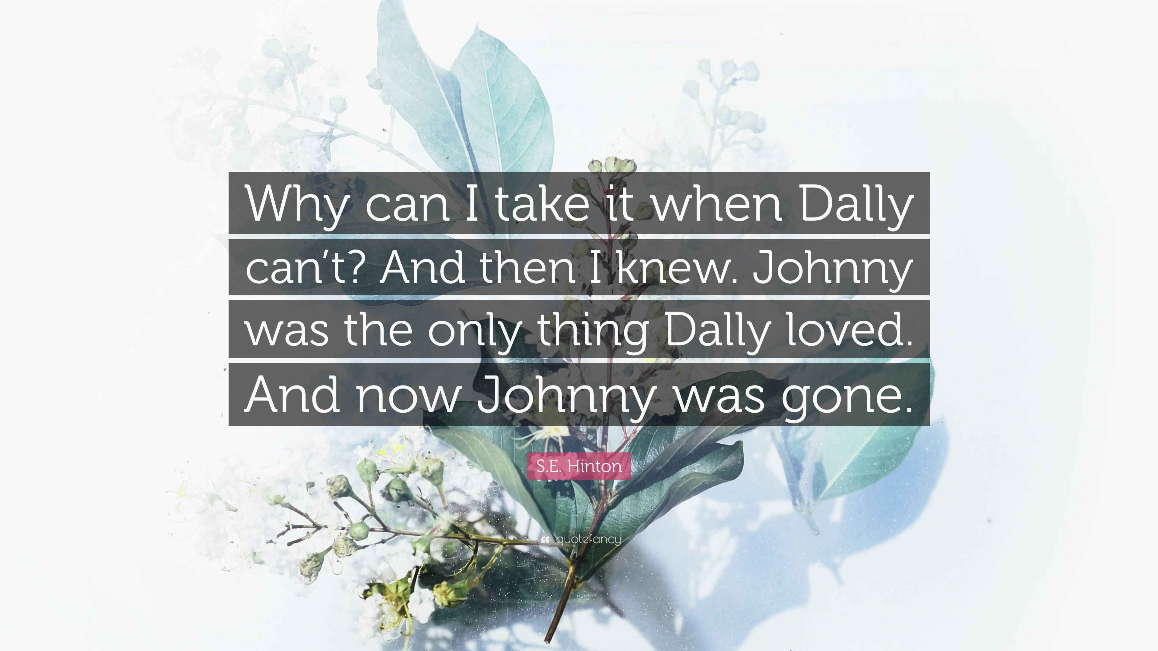 S.E. Hinton Quote: “Why can I take it when Dally can’t? And then I knew ...