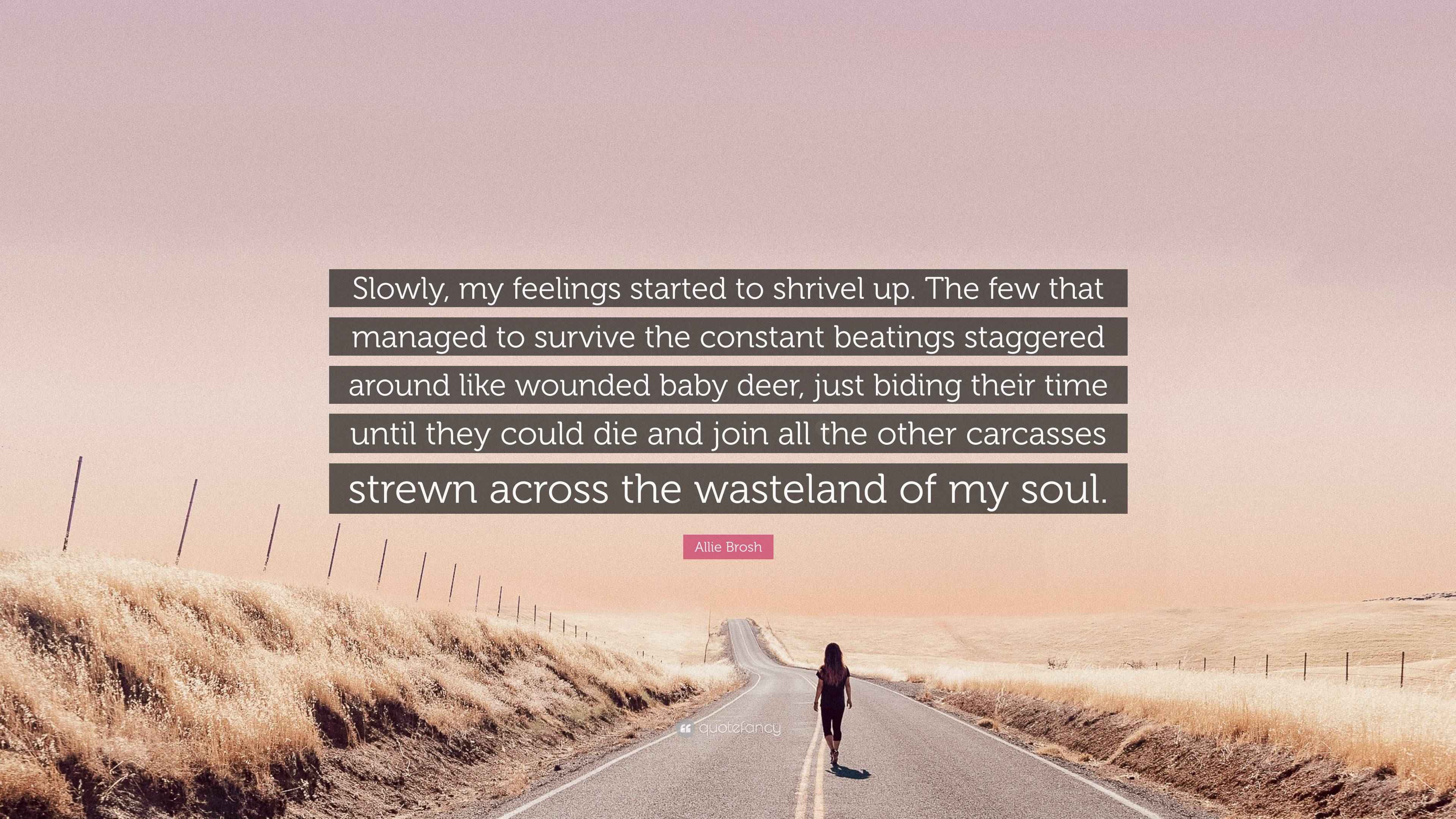 Allie Brosh Quote: “Slowly, my feelings started to shrivel up. The few ...