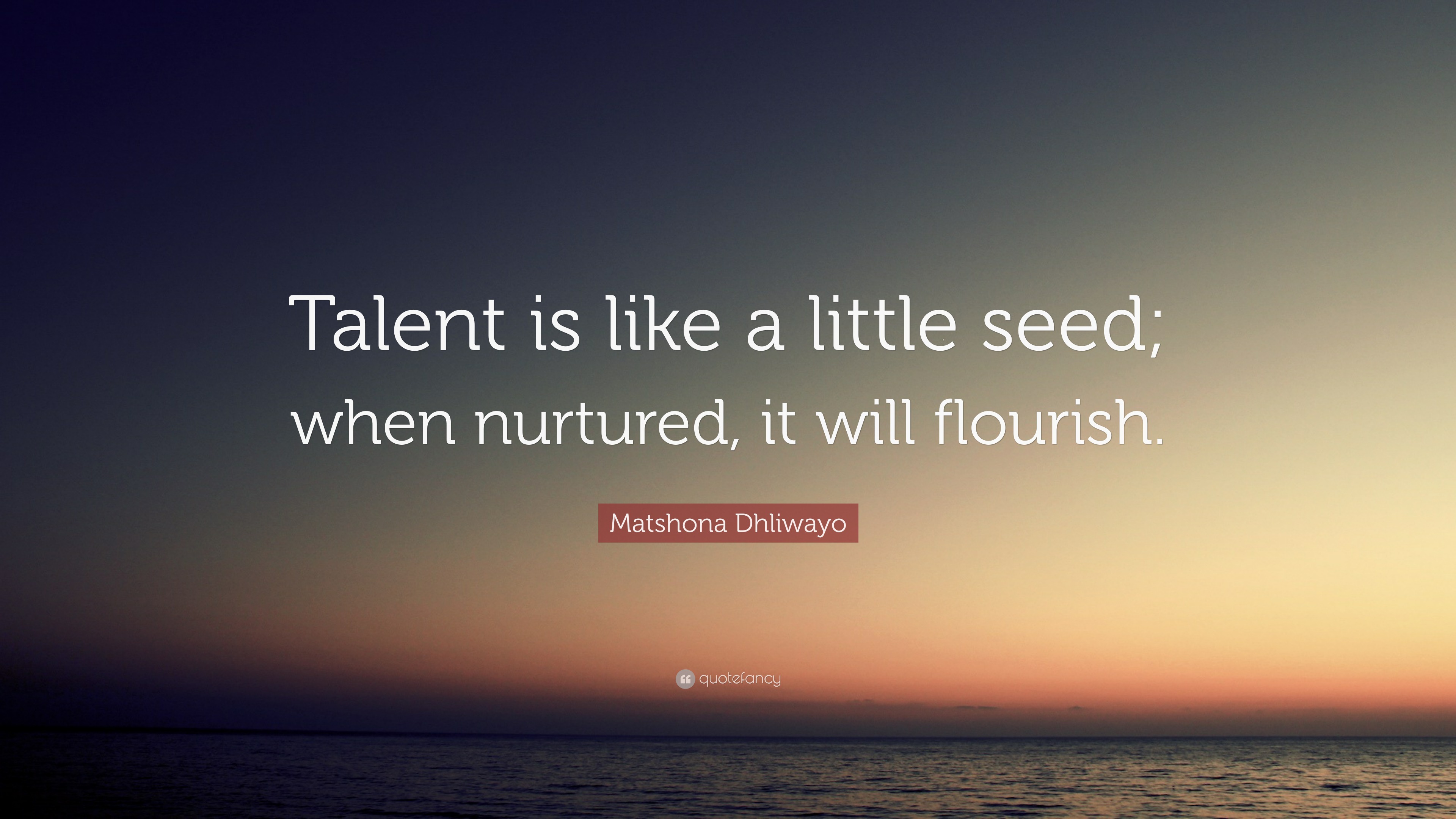 Matshona Dhliwayo Quote: “Talent is like a little seed; when nurtured ...