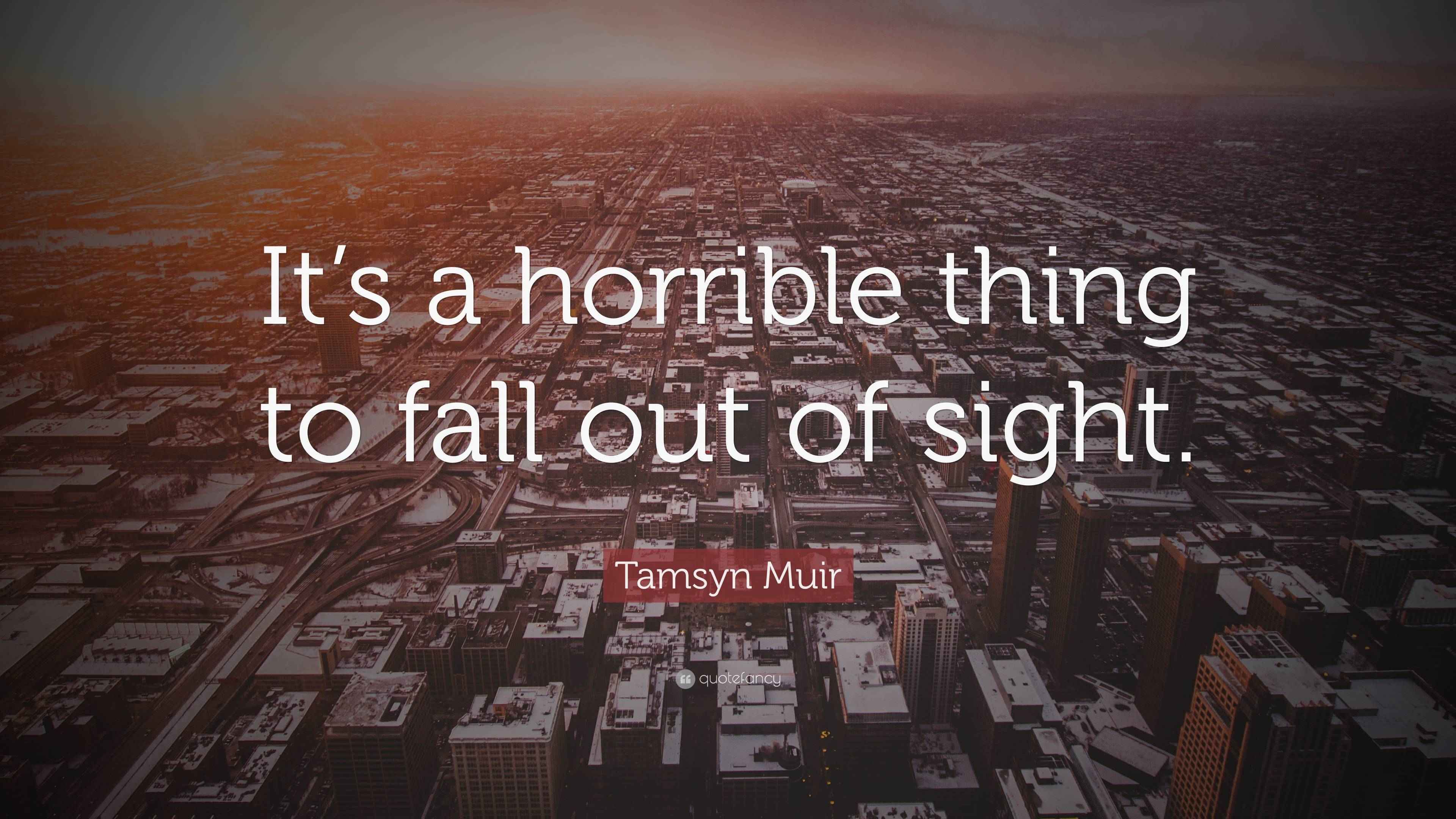 Tamsyn Muir Quote: “It’s a horrible thing to fall out of sight.”