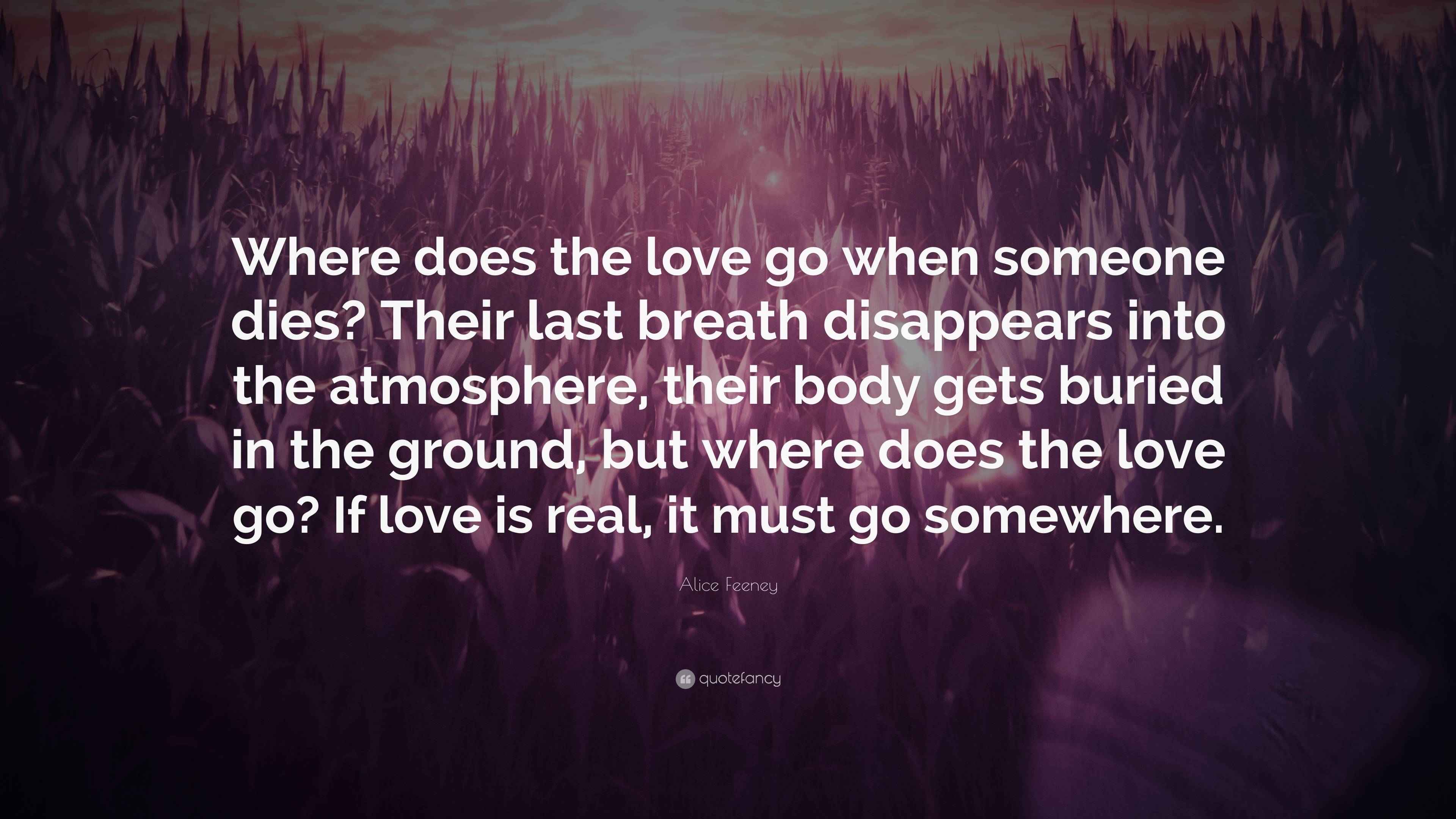 Alice Feeney Quote: “Where does the love go when someone dies? Their ...