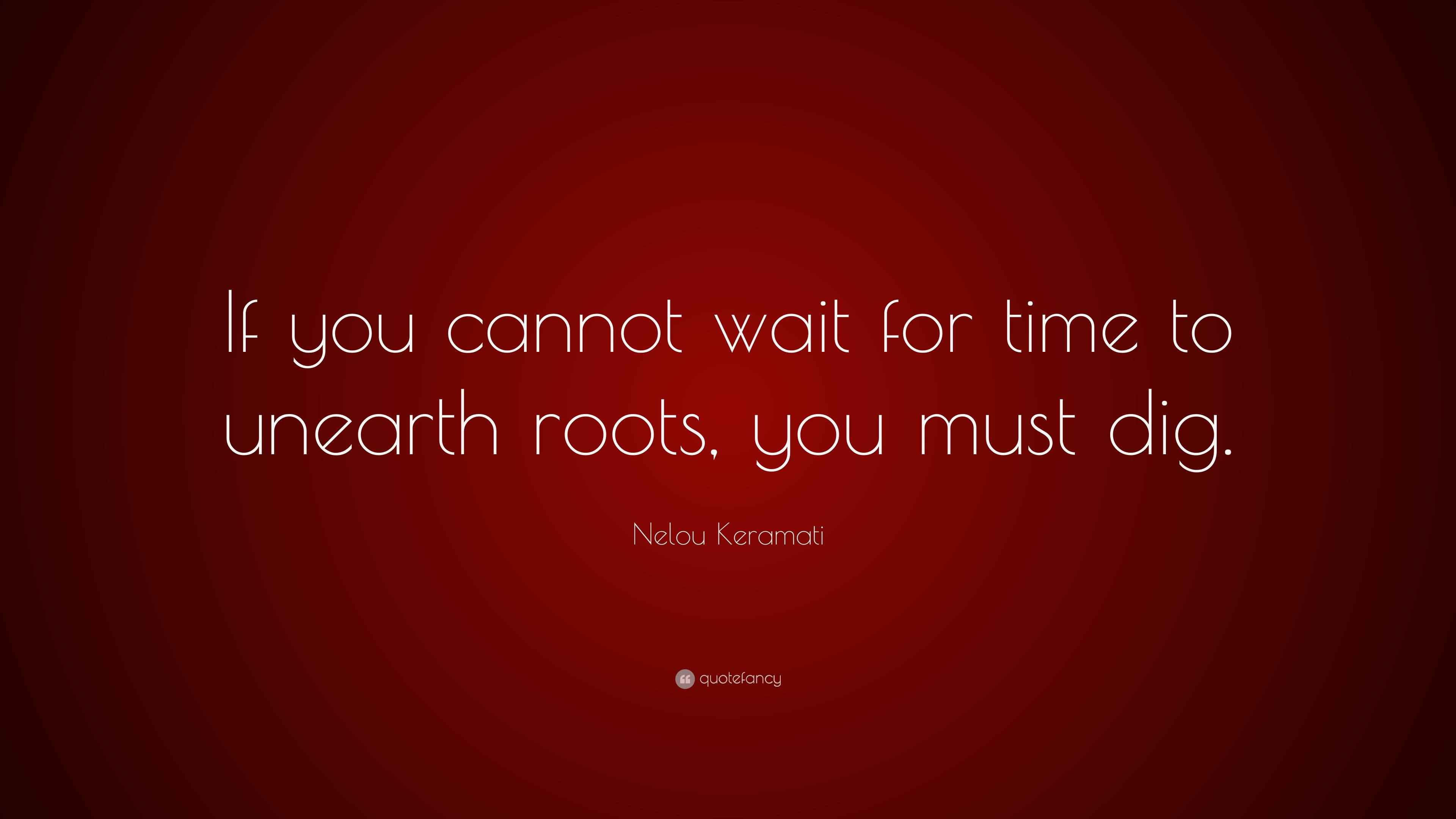 Nelou Keramati Quote: “If you cannot wait for time to unearth roots ...