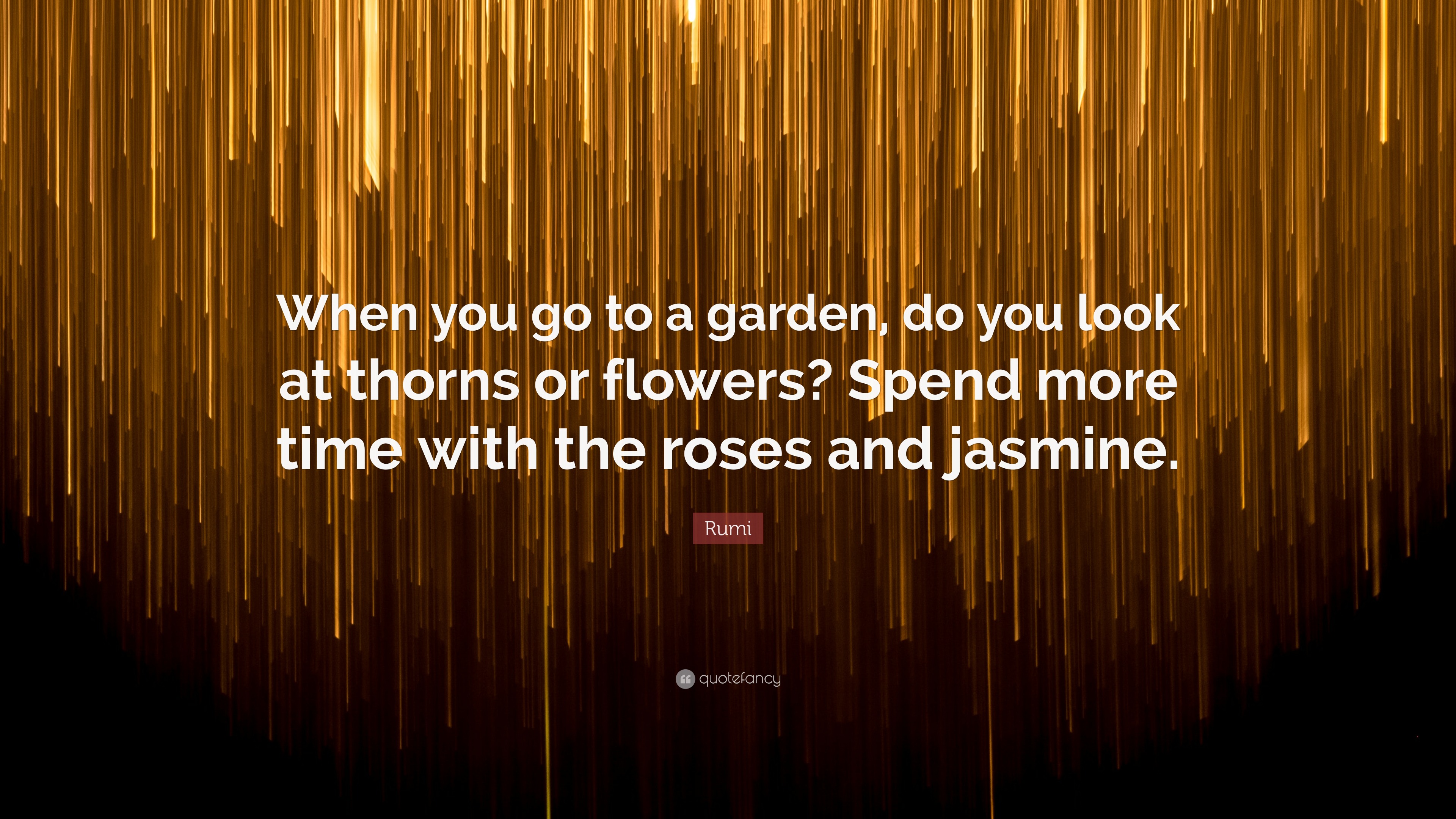 Rumi Quote: “When you go to a garden, do you look at thorns or flowers ...