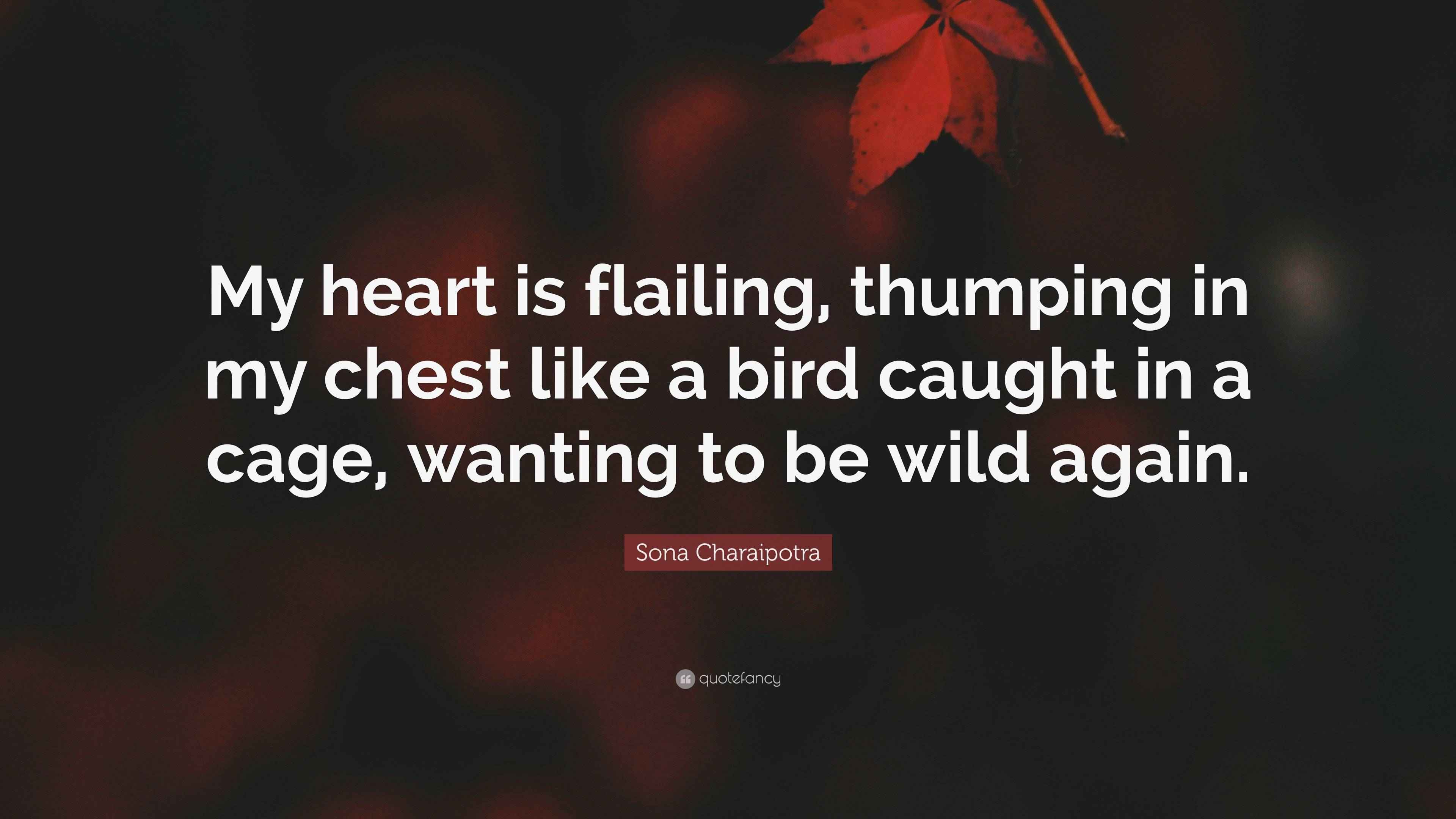 Sona Charaipotra Quote: “My heart is flailing, thumping in my chest ...