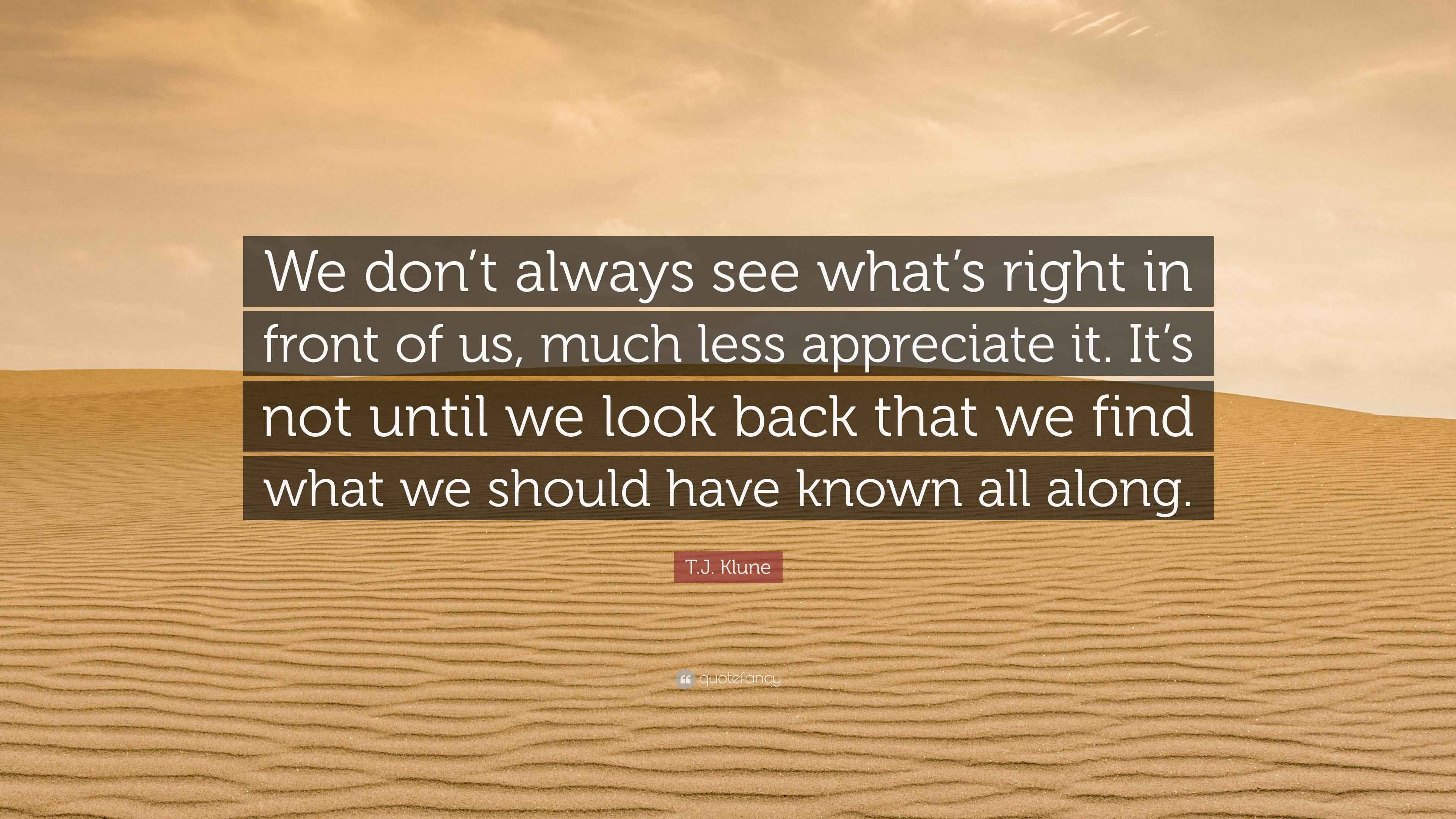 T.J. Klune Quote: “We don’t always see what’s right in front of us ...