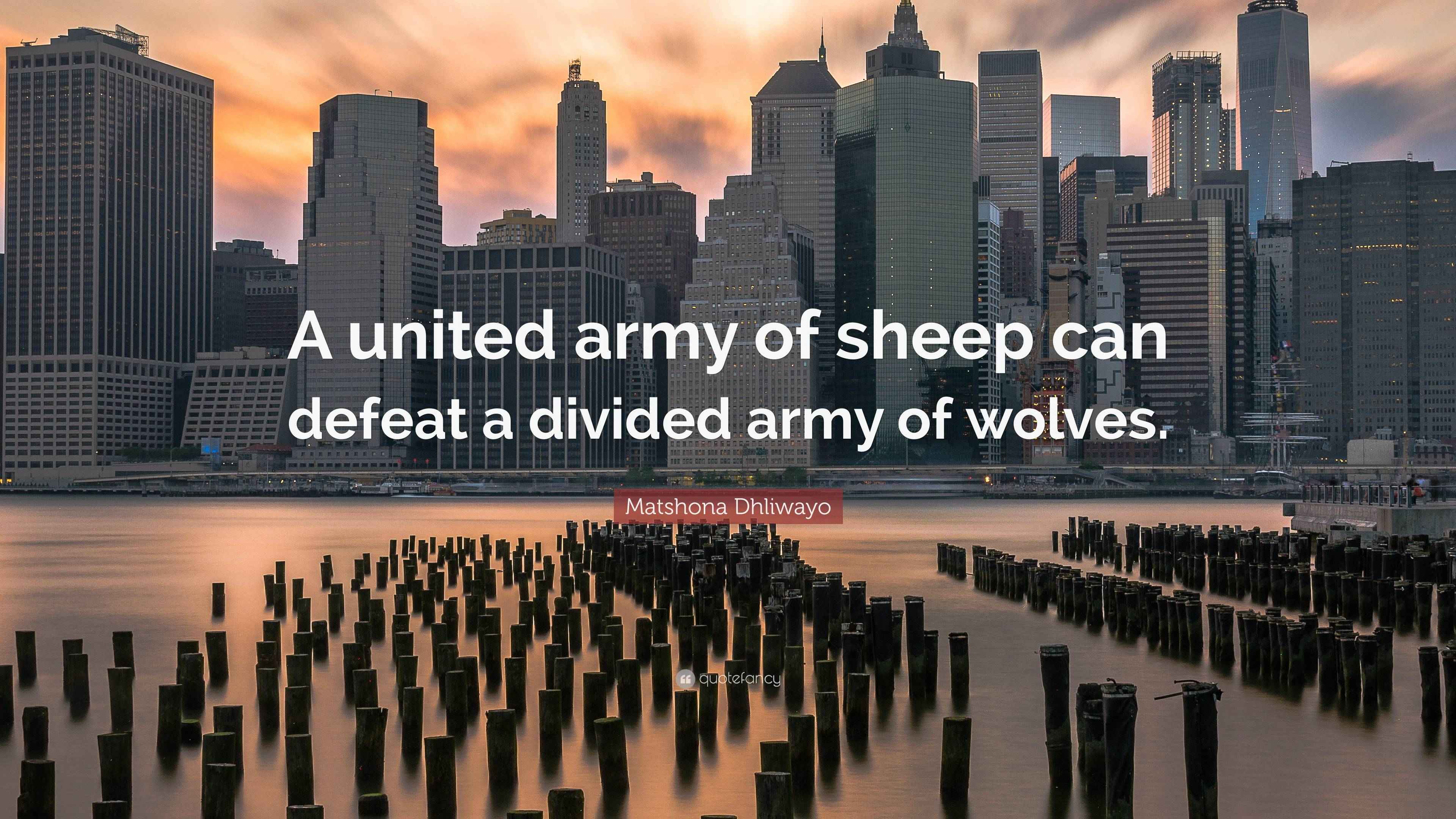 Matshona Dhliwayo Quote: “A united army of sheep can defeat a divided ...