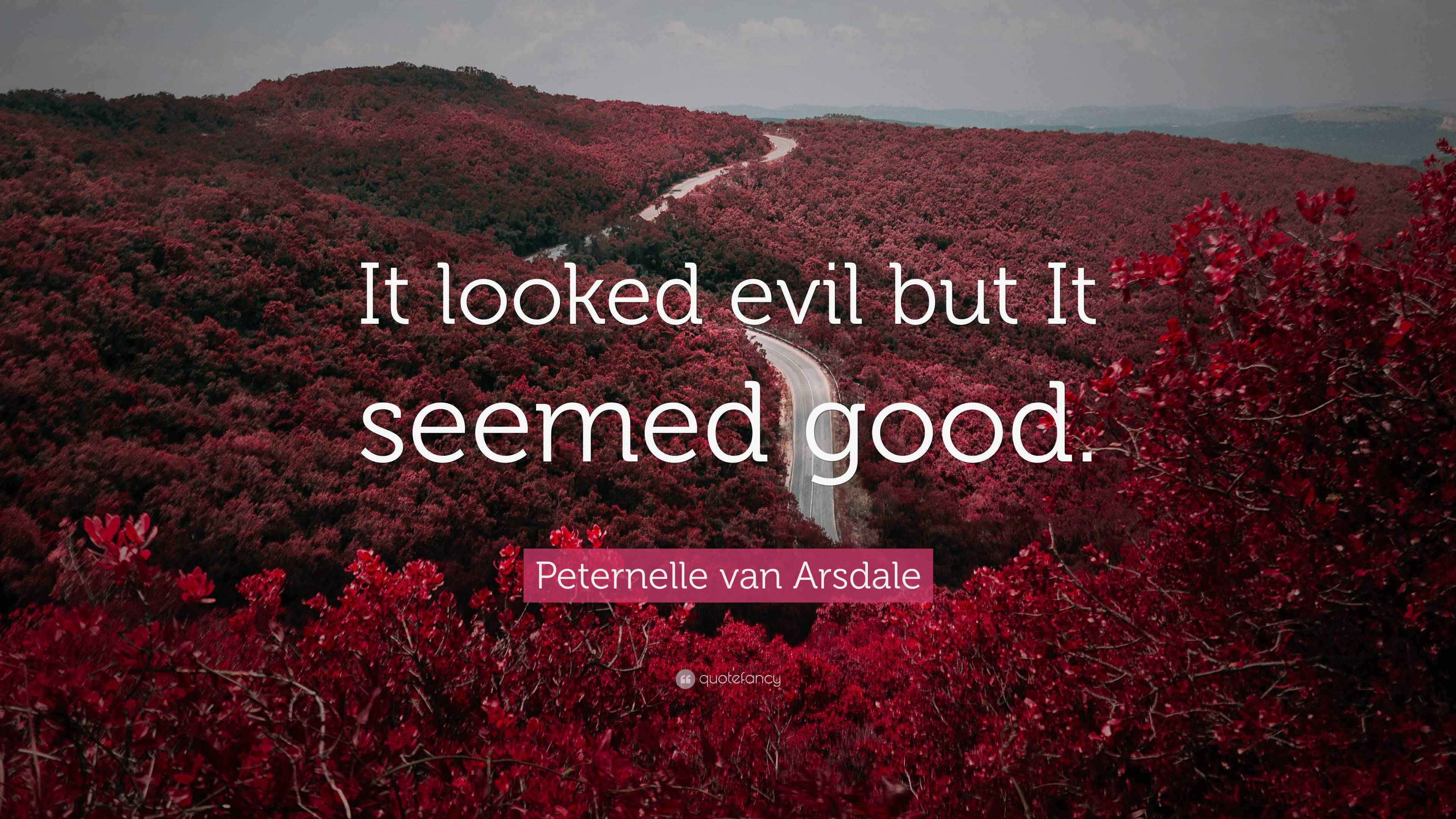 Peternelle van Arsdale Quote: “It looked evil but It seemed good.”