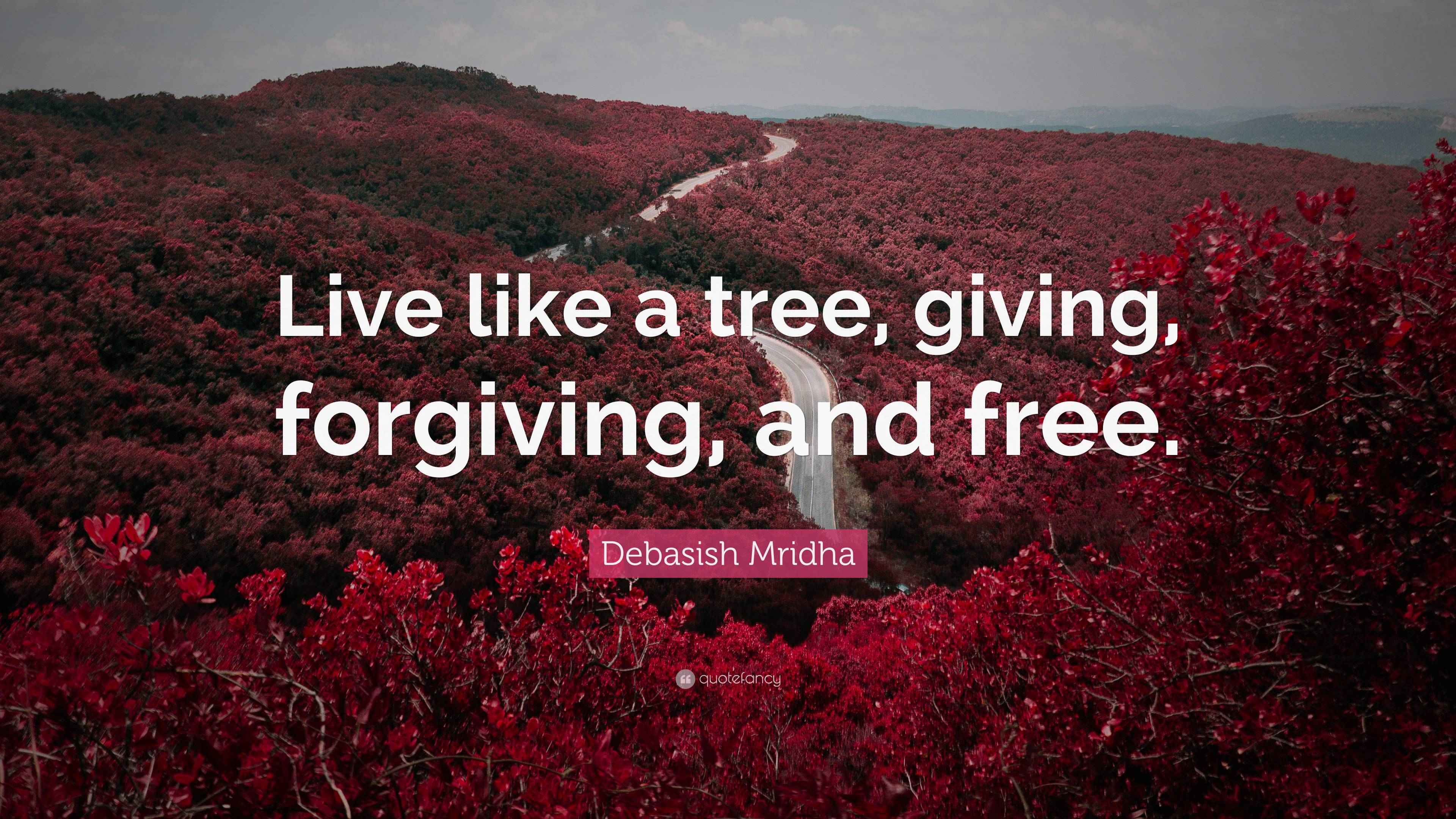 Debasish Mridha Quote: “Live like a tree, giving, forgiving, and free.”
