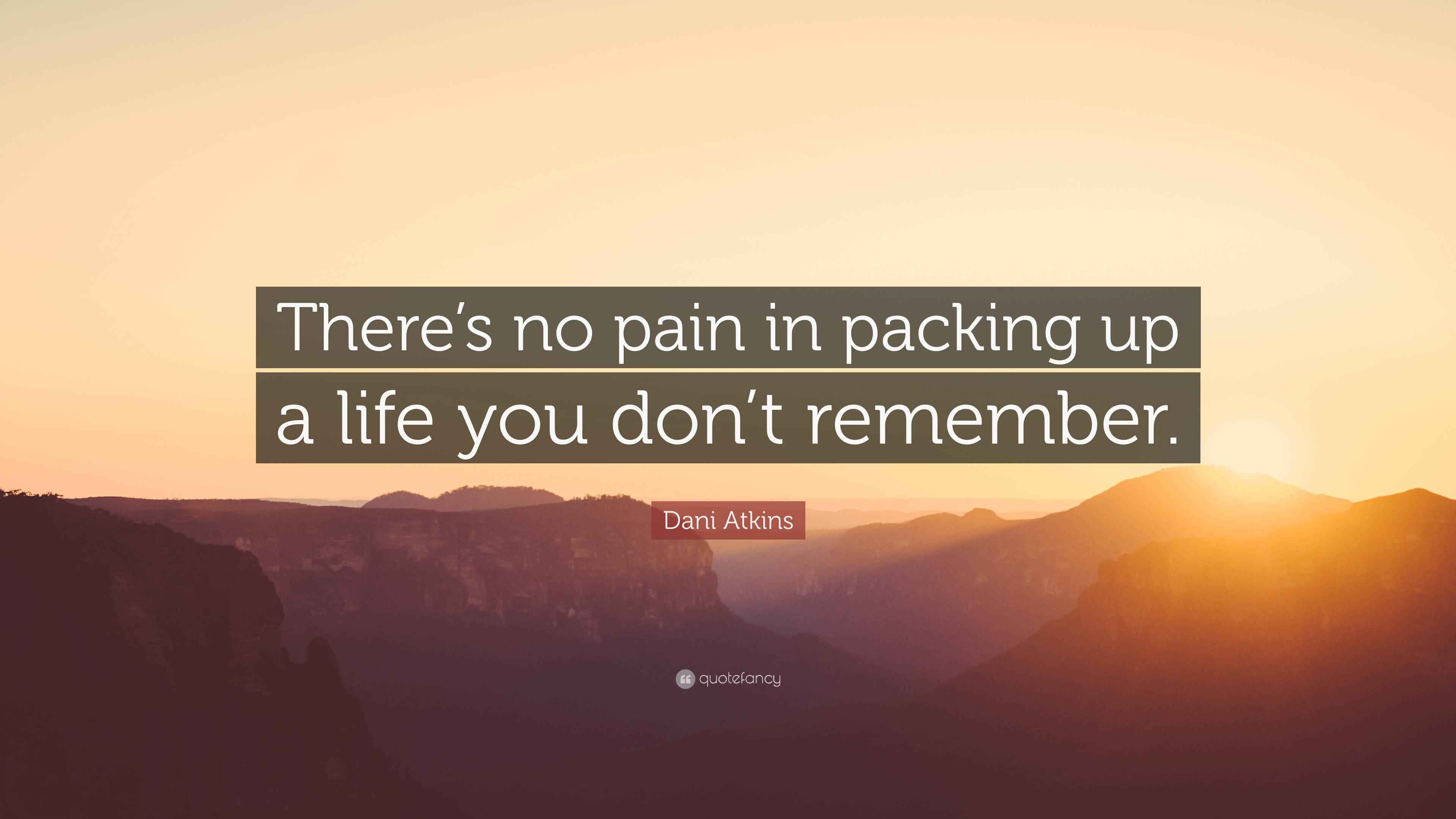 Dani Atkins Quote: “There’s no pain in packing up a life you don’t ...