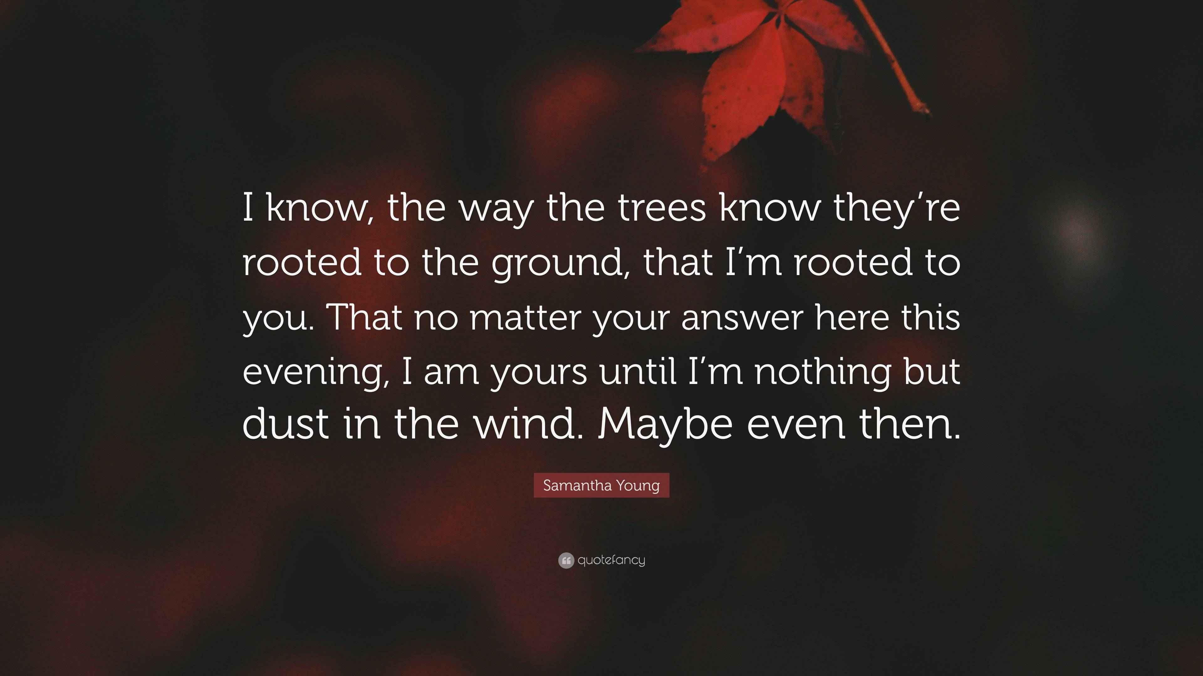 Samantha Young Quote: “I know, the way the trees know they’re rooted to ...