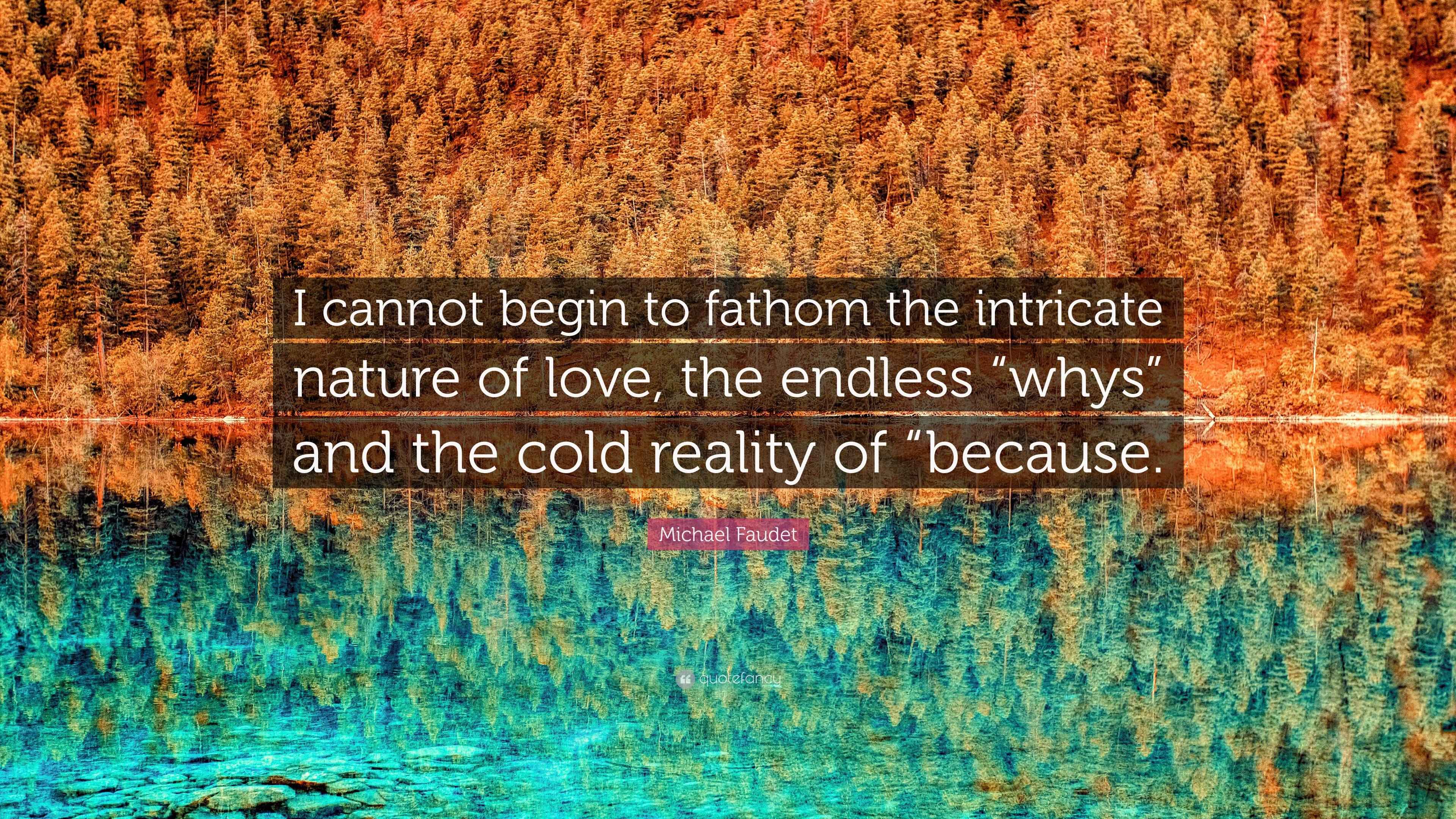 Michael Faudet Quote: “I cannot begin to fathom the intricate nature of ...
