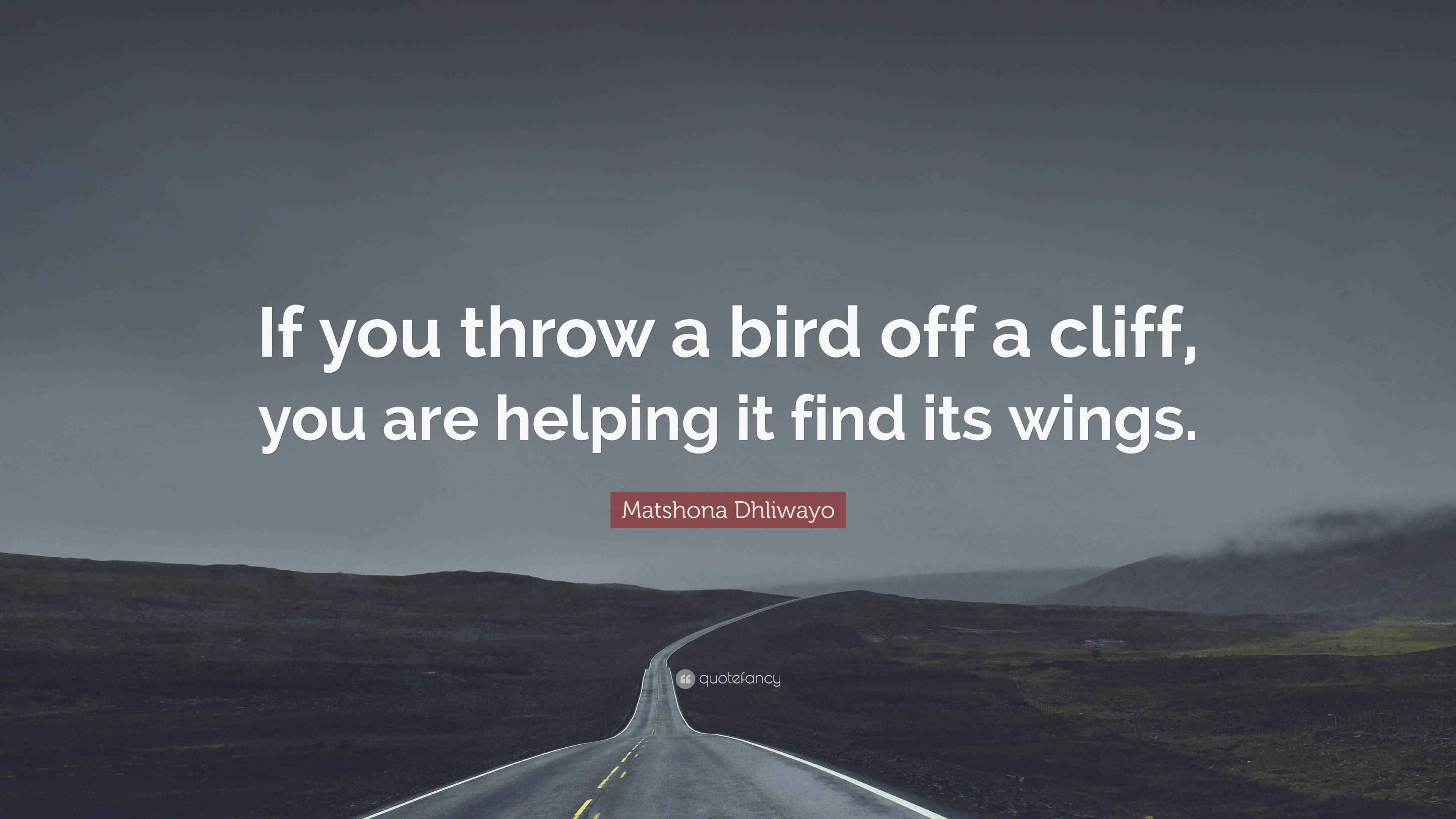Matshona Dhliwayo Quote: “If you throw a bird off a cliff, you are ...