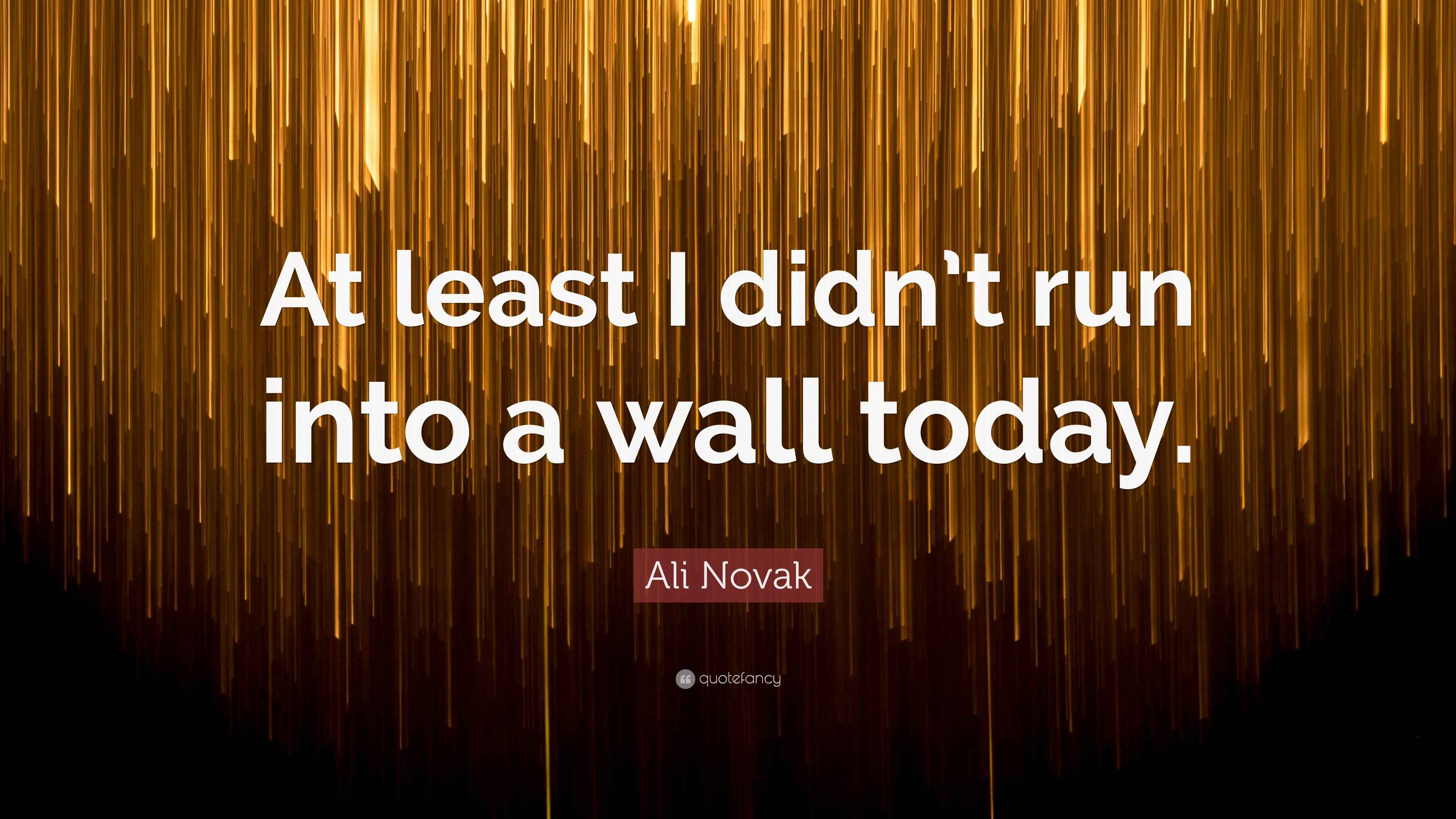 Ali Novak Quote: “At least I didn’t run into a wall today.”