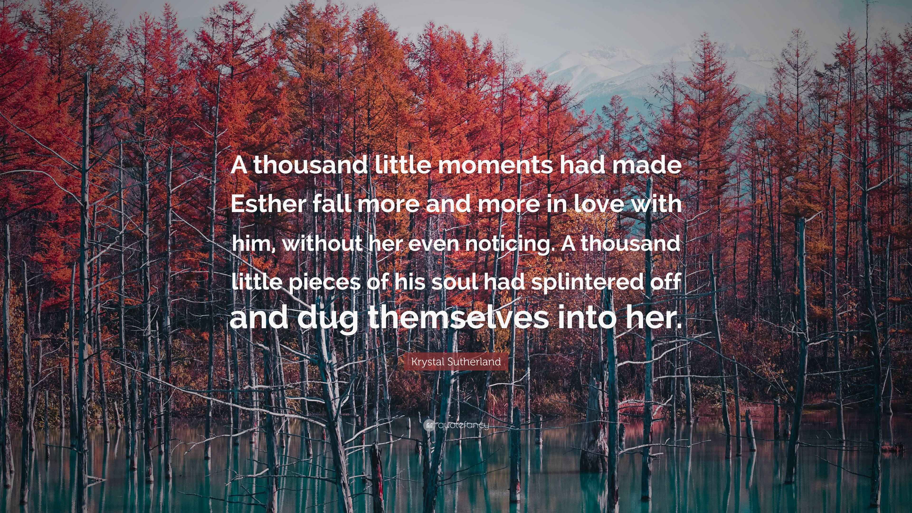 Krystal Sutherland Quote: “A thousand little moments had made Esther ...