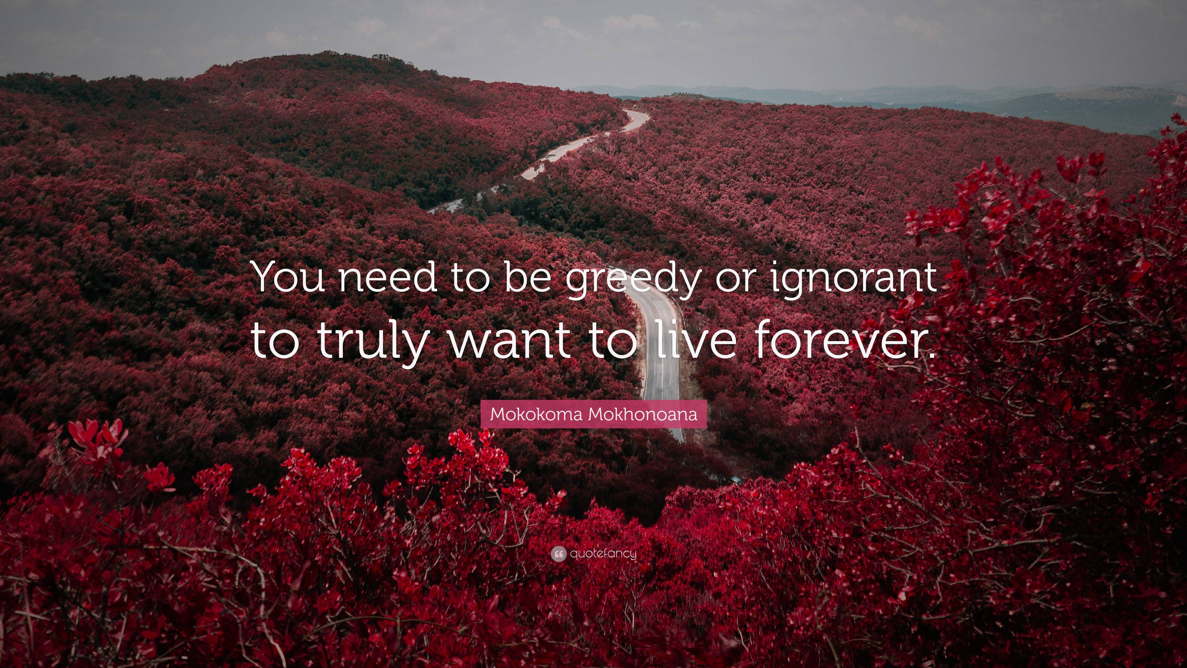 Mokokoma Mokhonoana Quote: “You need to be greedy or ignorant to truly ...