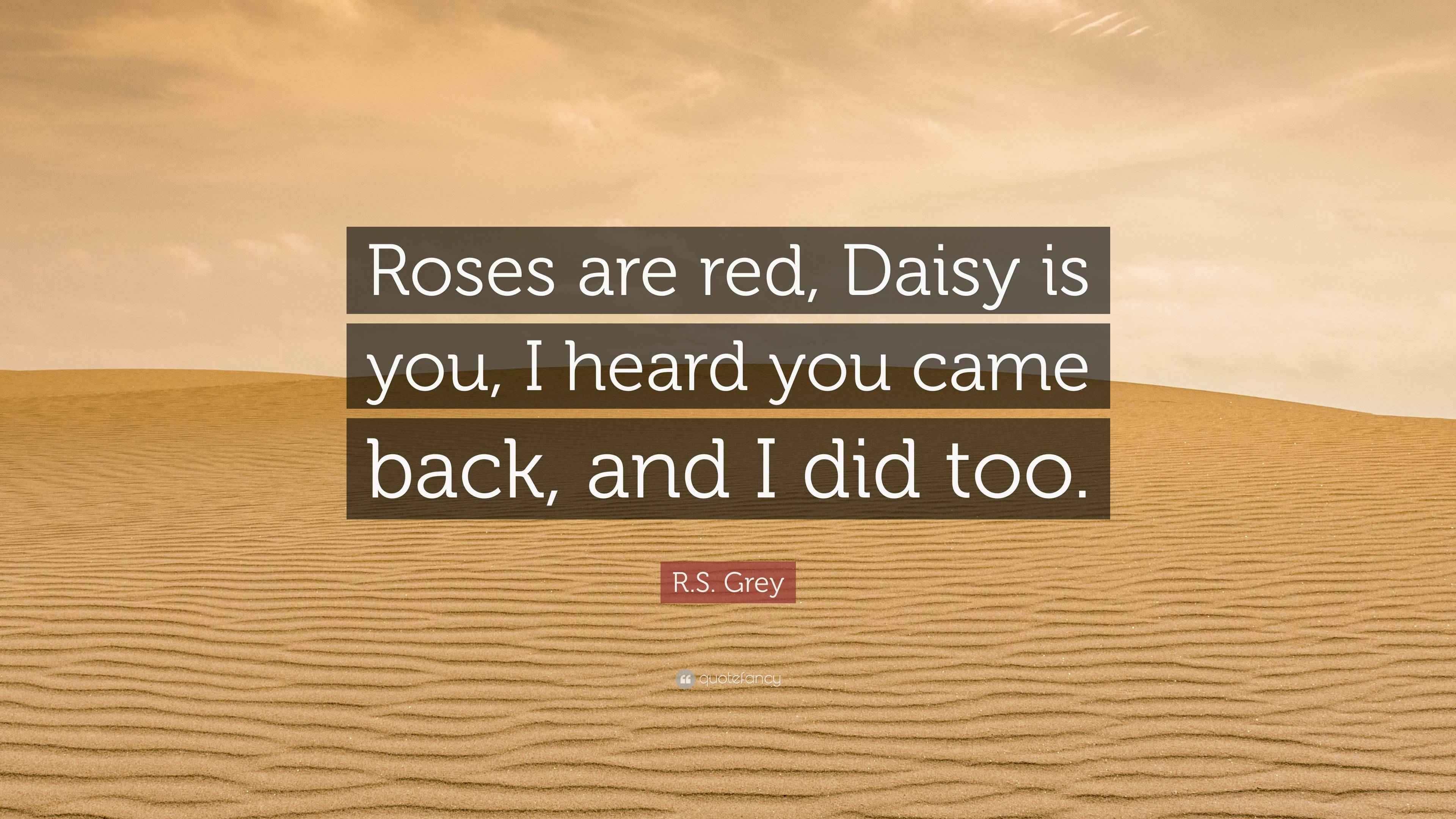 R.S. Grey Quote: “Roses are red, Daisy is you, I heard you came back ...