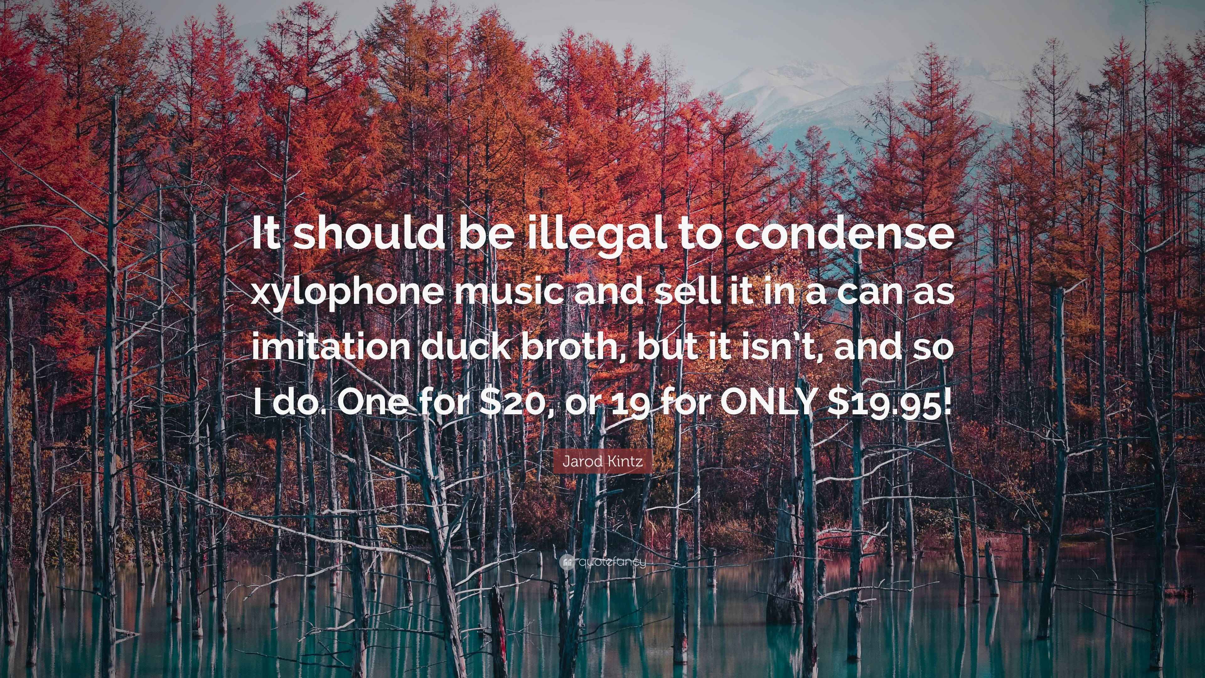 Jarod Kintz Quote: “It should be illegal to condense xylophone music ...