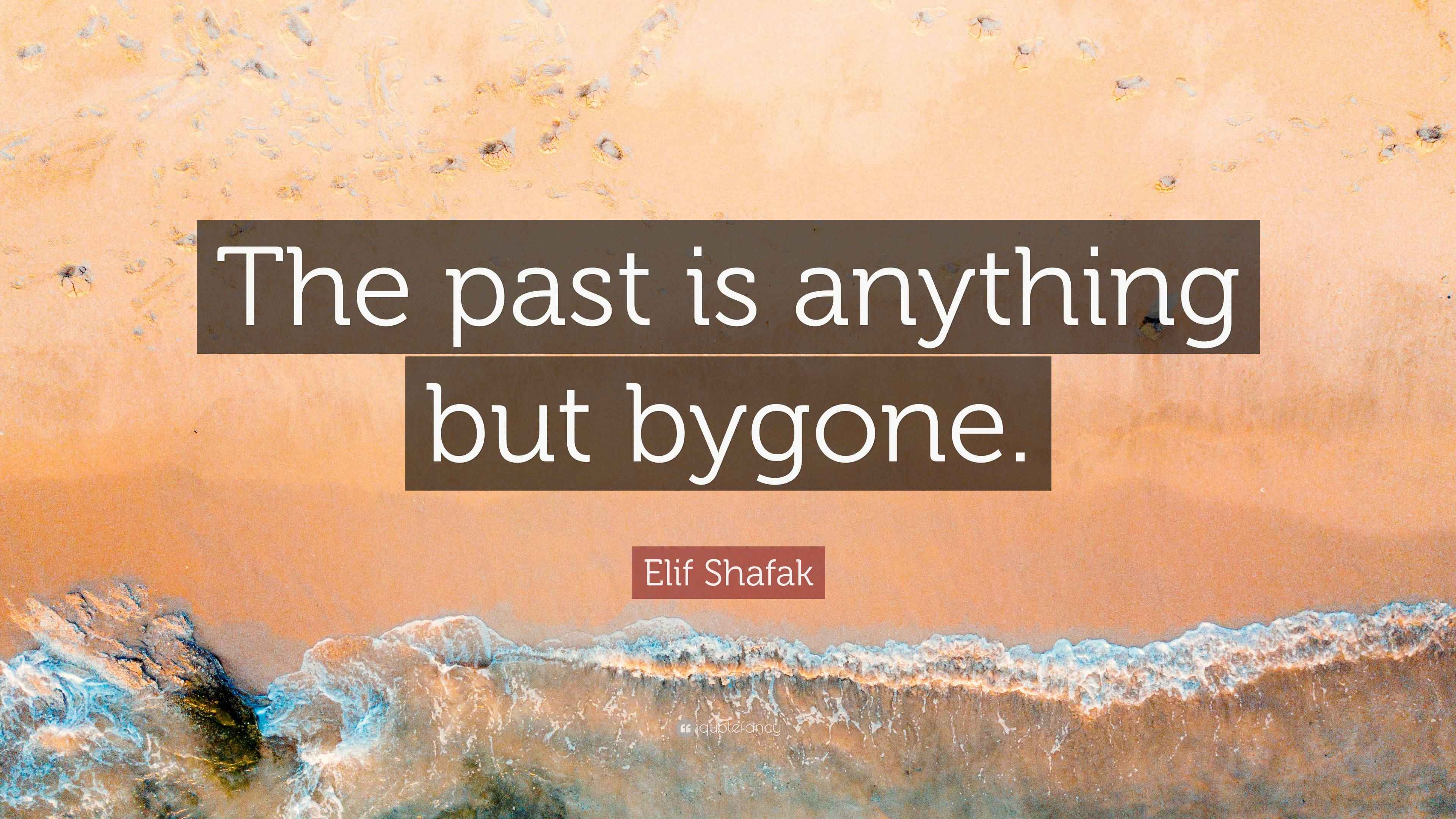 Elif Shafak Quote: “The past is anything but bygone.”