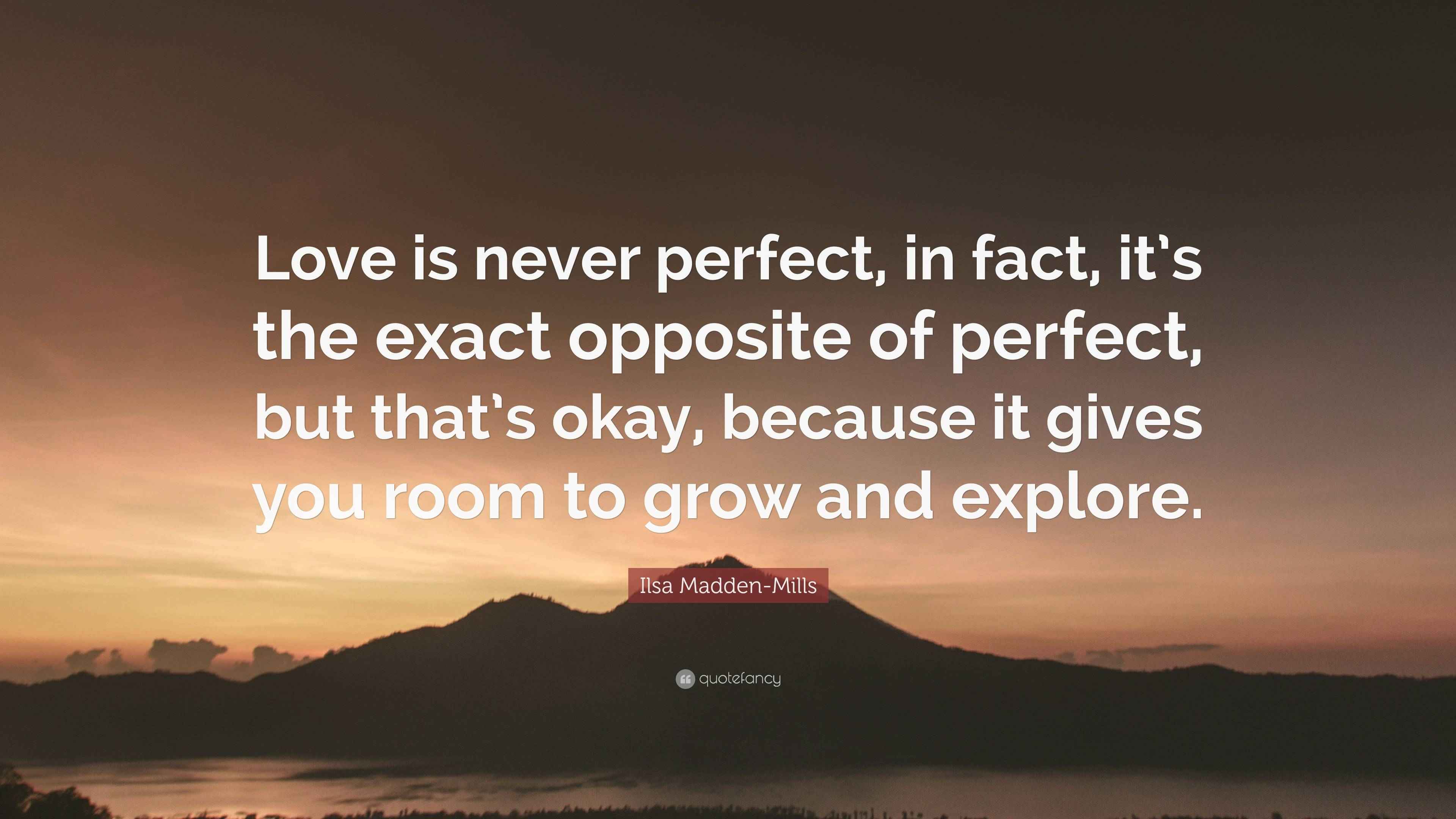 Ilsa Madden-Mills Quote: “Love is never perfect, in fact, it’s the ...