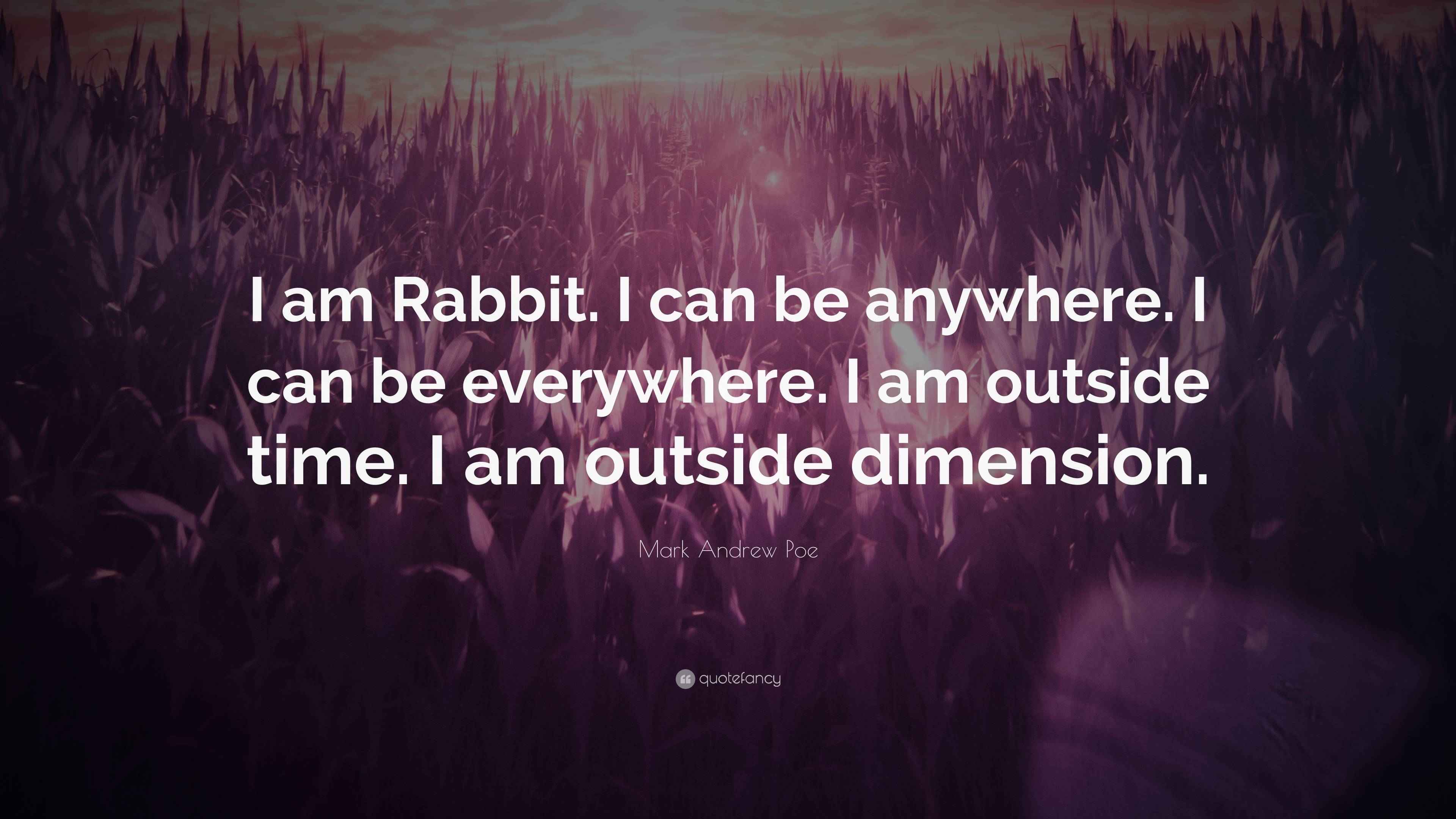 Mark Andrew Poe Quote: “I am Rabbit. I can be anywhere. I can be ...