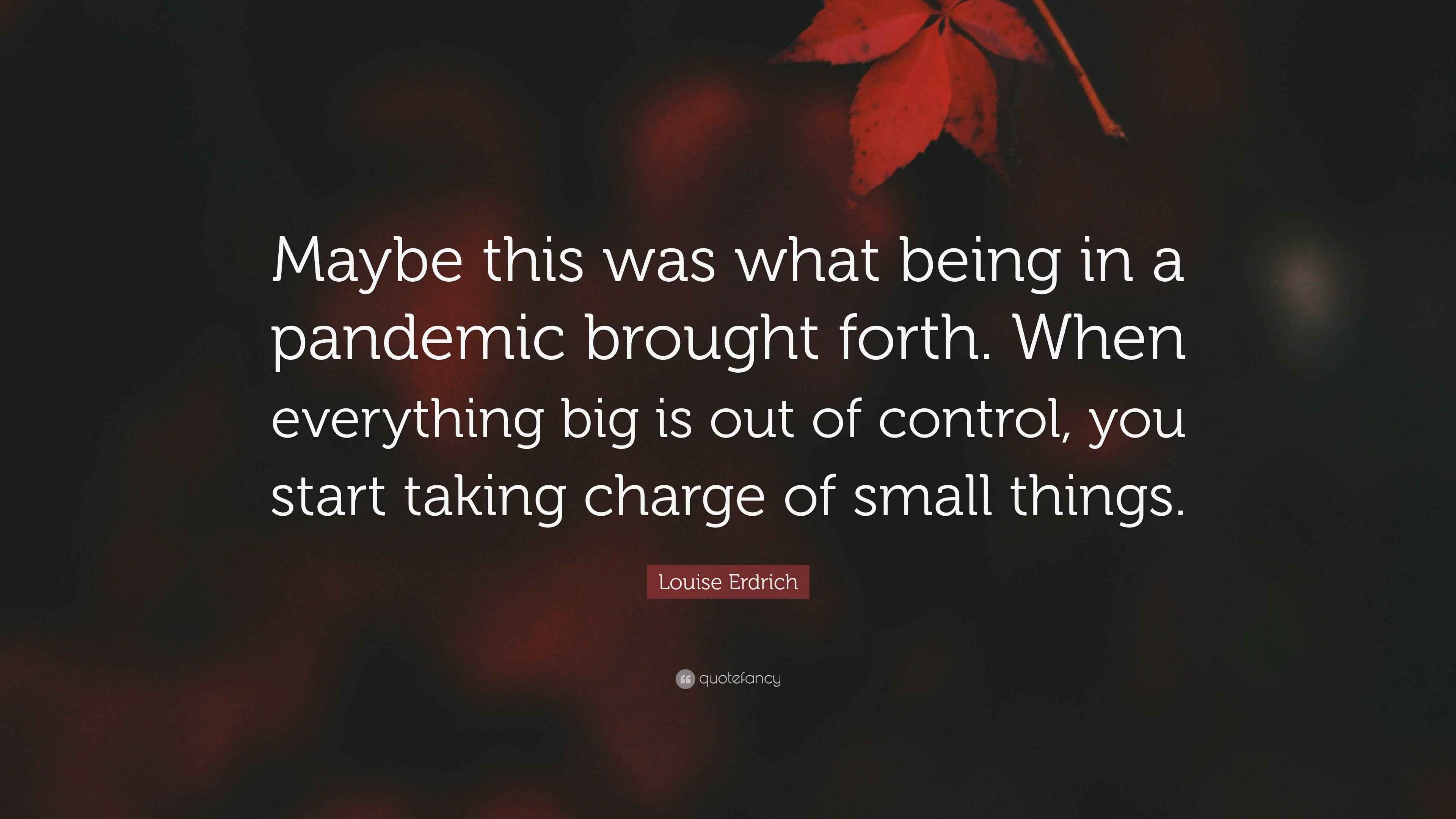 Louise Erdrich Quote: “Maybe this was what being in a pandemic brought ...