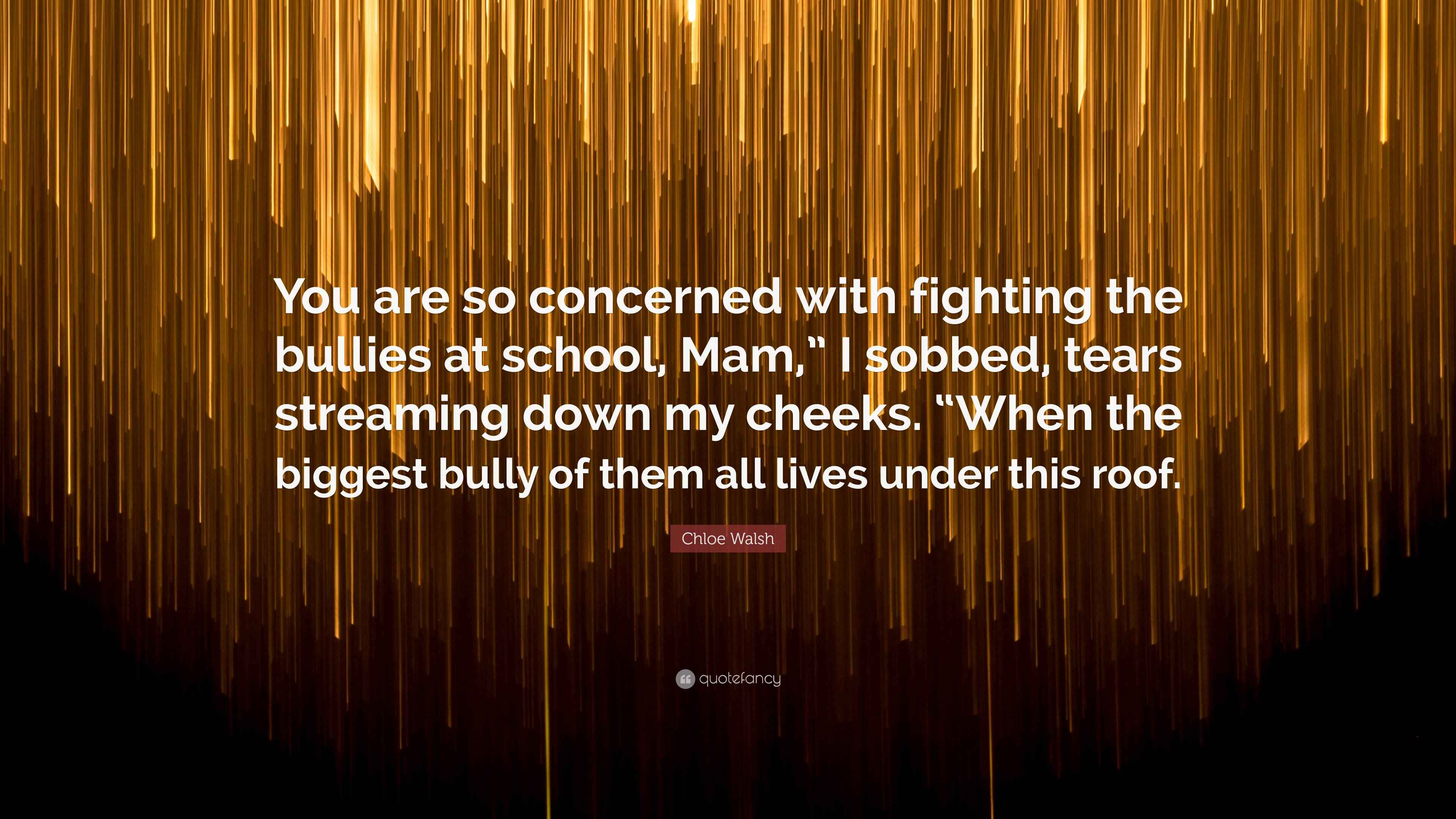 Chloe Walsh Quote: “You are so concerned with fighting the bullies at ...