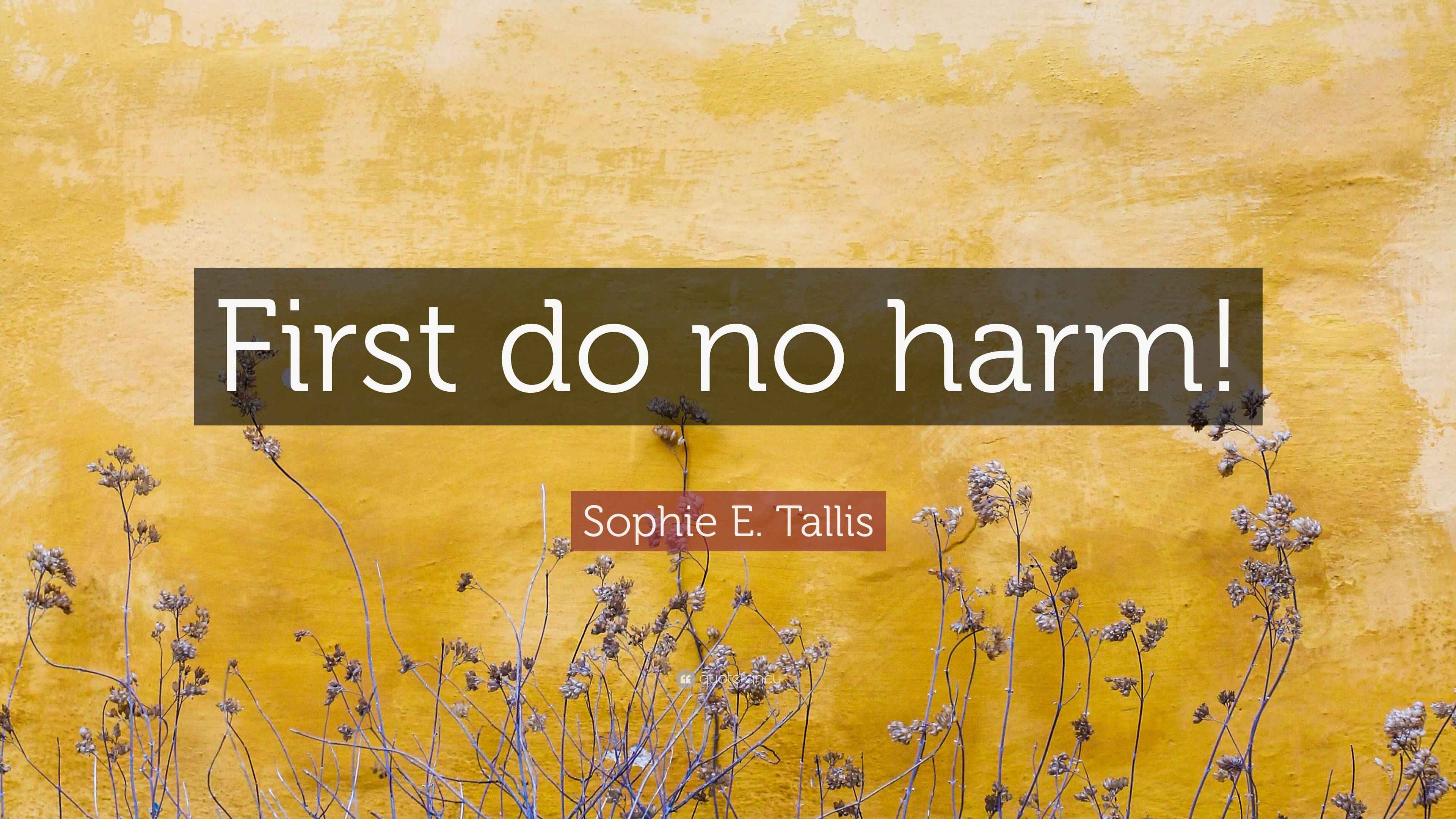 Sophie E. Tallis Quote: “First do no harm!”