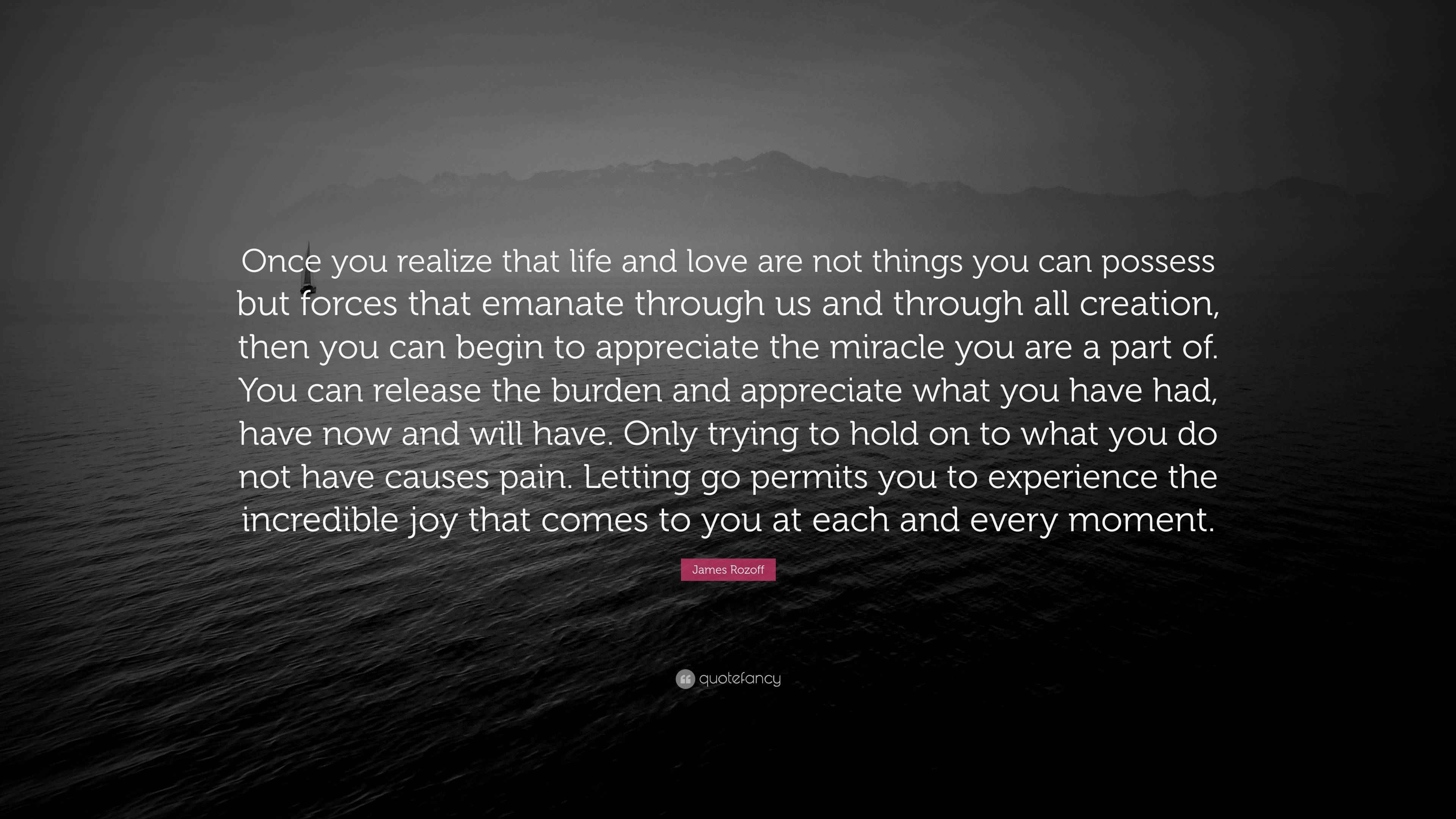 James Rozoff Quote: “Once you realize that life and love are not things ...