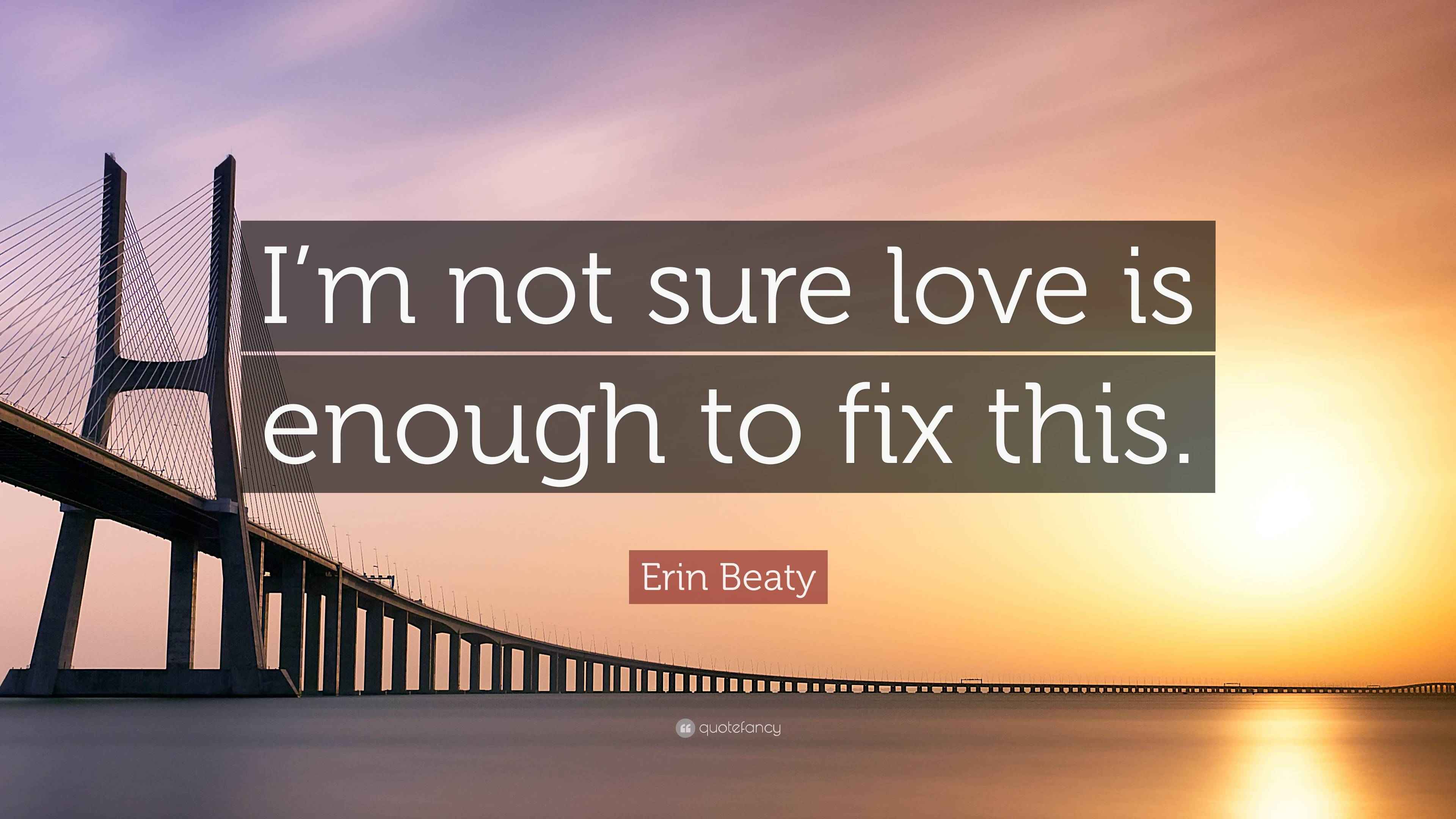 Erin Beaty Quote: “I’m not sure love is enough to fix this.”