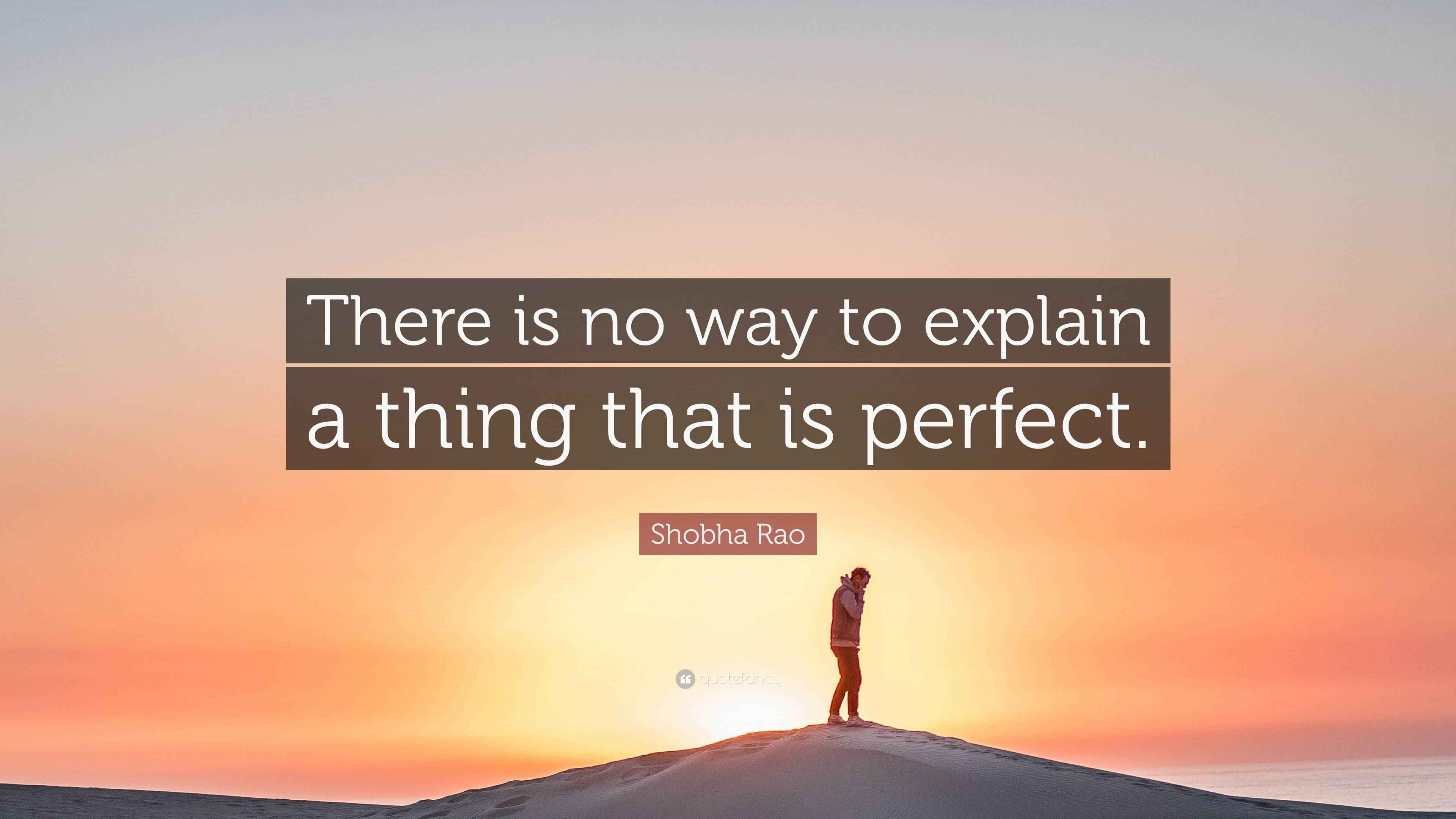 Shobha Rao Quote: “There is no way to explain a thing that is perfect.”